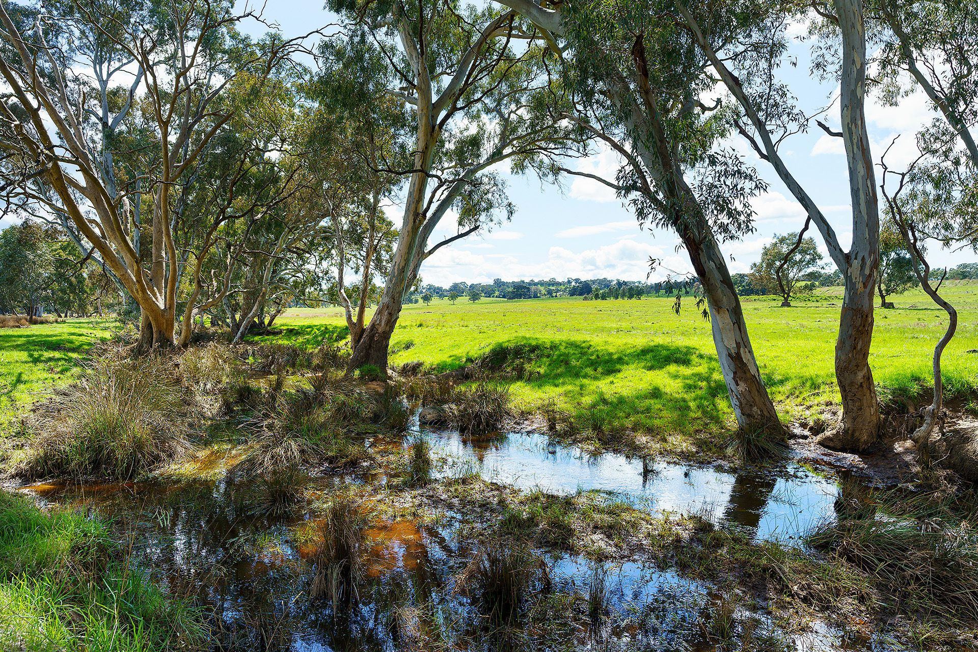 "Elphinstone" - Lot 2 Pollards Road, Elphinstone, VIC 3448 - Sold Rural ...