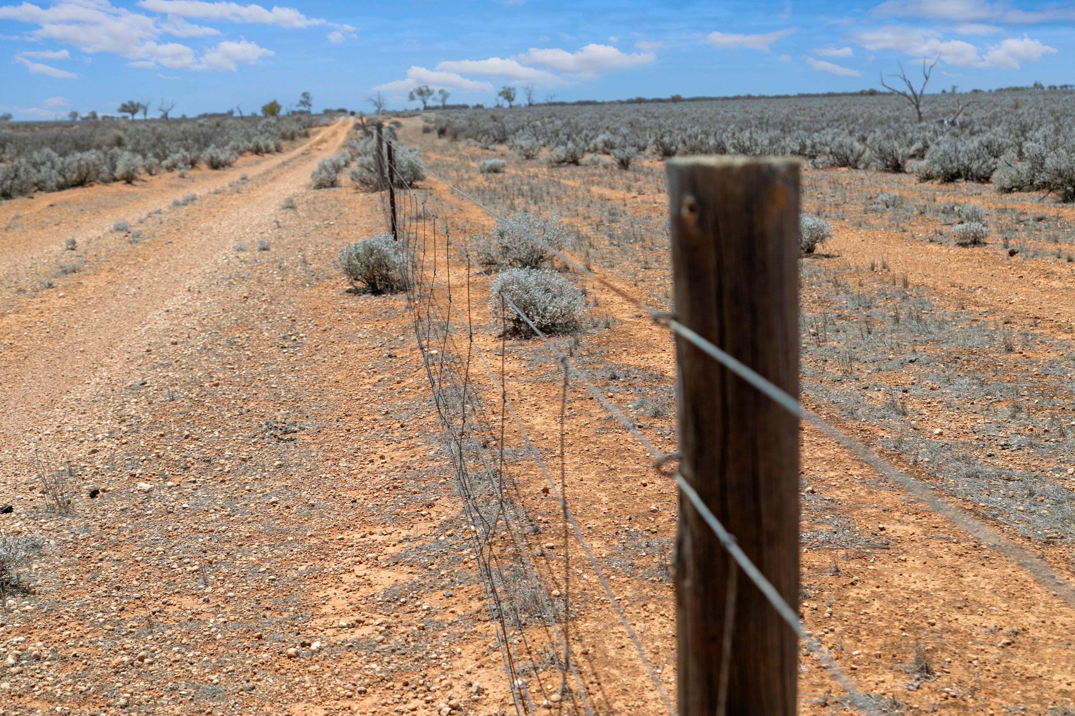'Koomooloo Station' Koomooloo Road, Burra, SA 5417 - Sold Rural ...