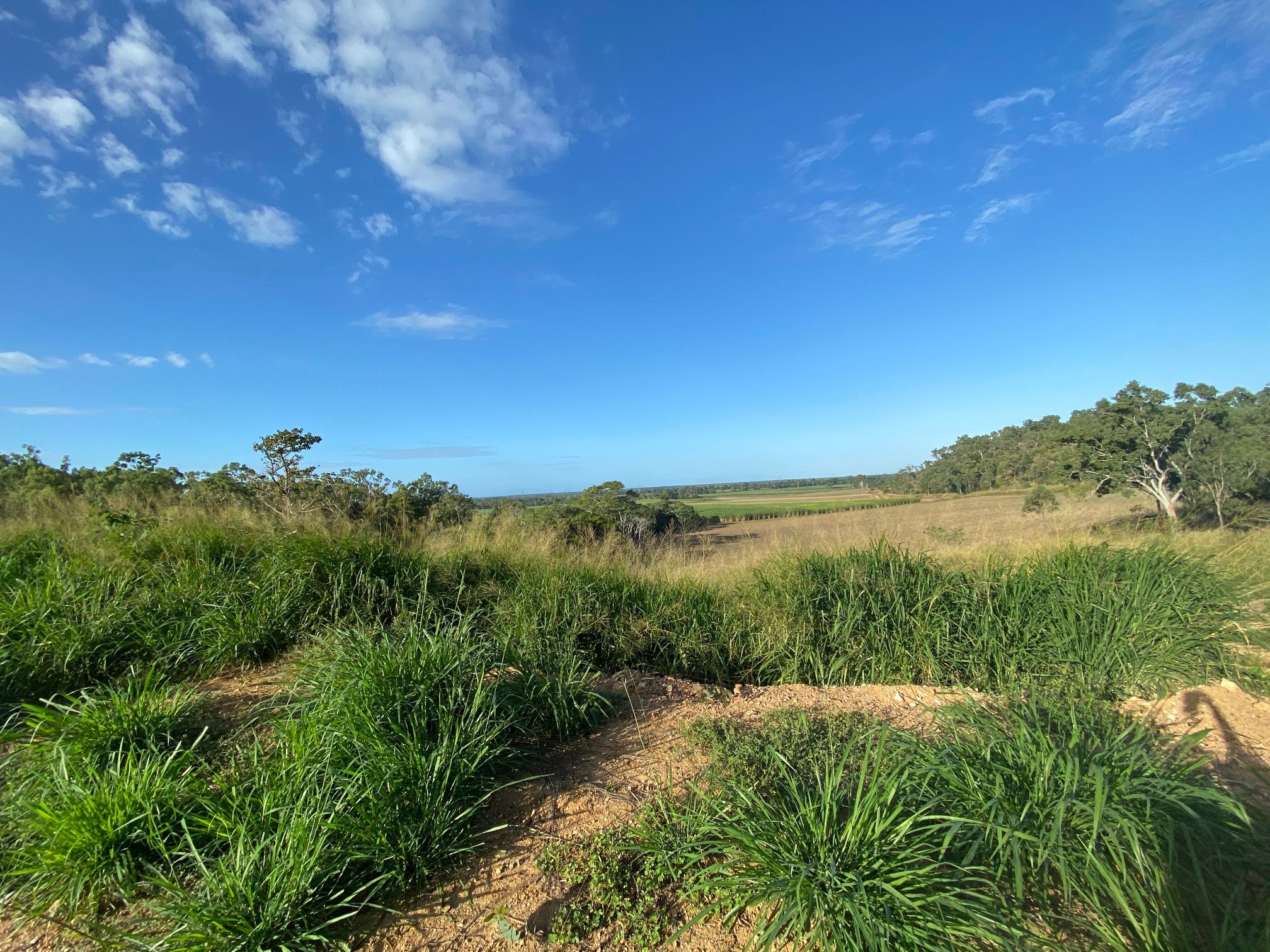 Lot 8 Bruce Highway, COOLBIE, QLD 4850 - Sold Rural Lifestyle Property ...