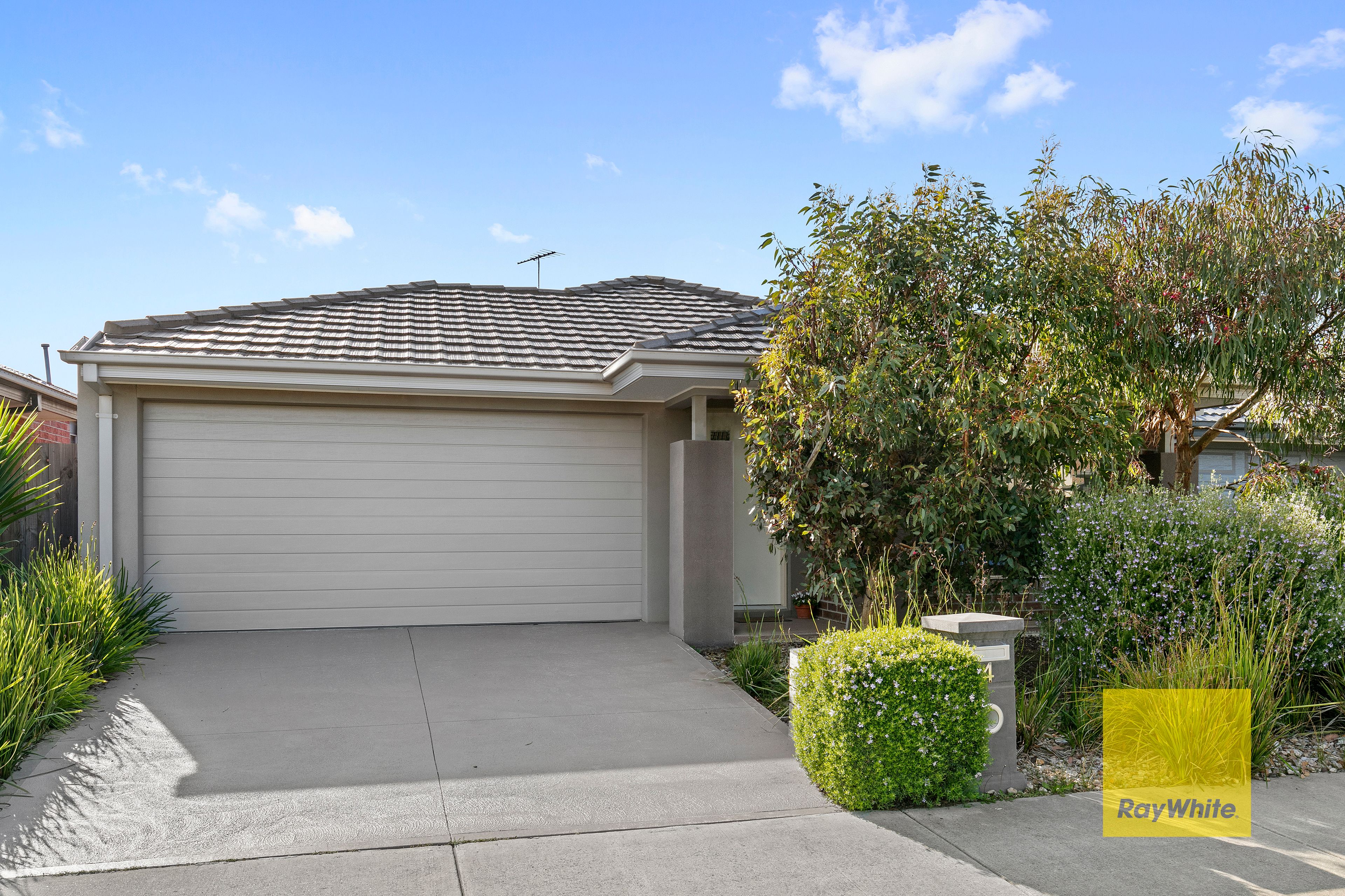 Ray White Highton