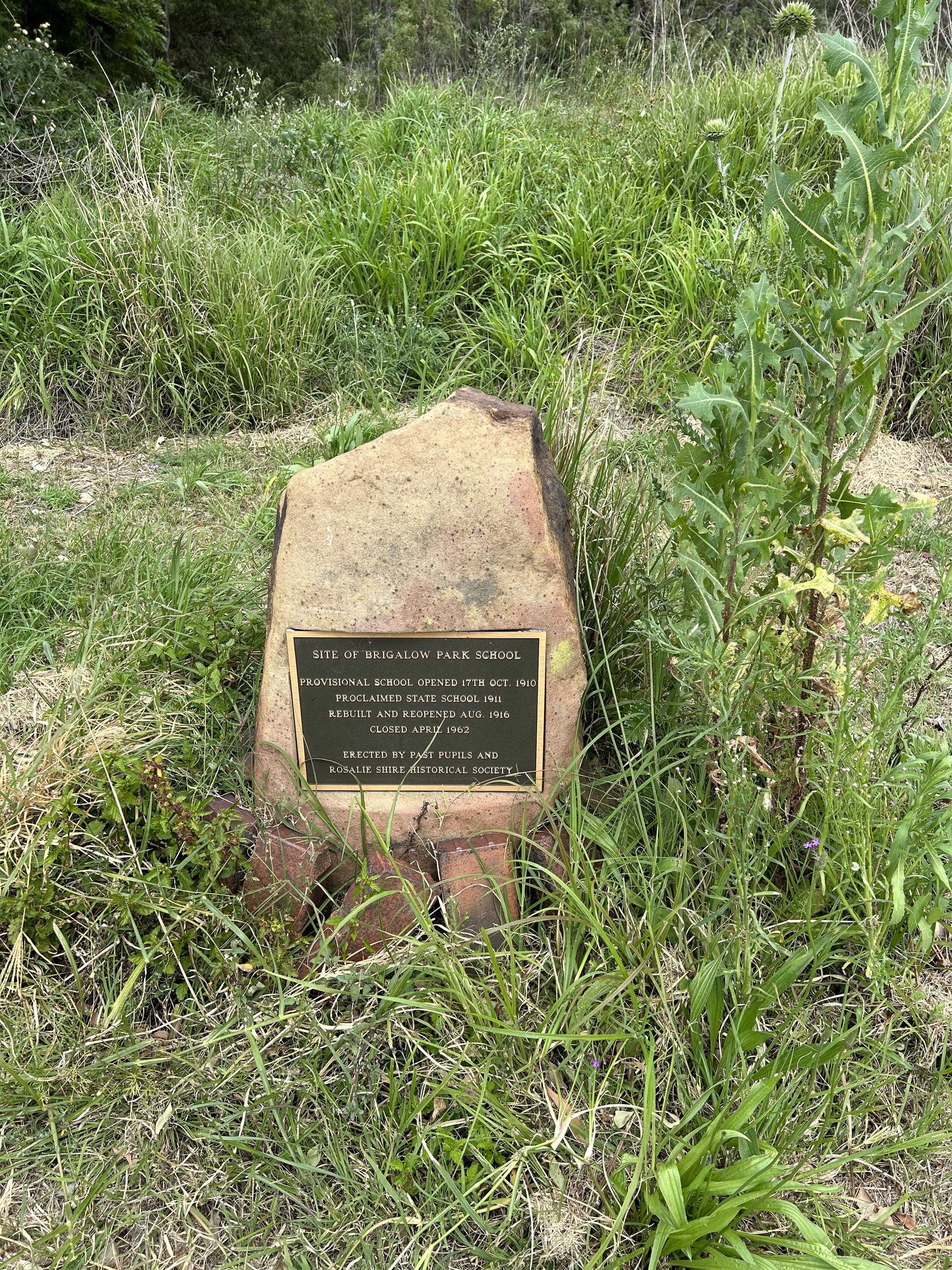 Lot 279 Brigalow Park School Road, MOUNT DARRY, QLD 4352 - Sold Land ...