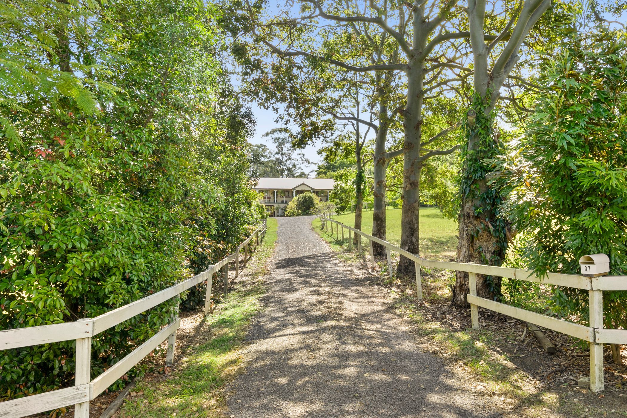 37 Harold Place, Peachester, QLD 4519 - Sold House - Ray White Beerwah