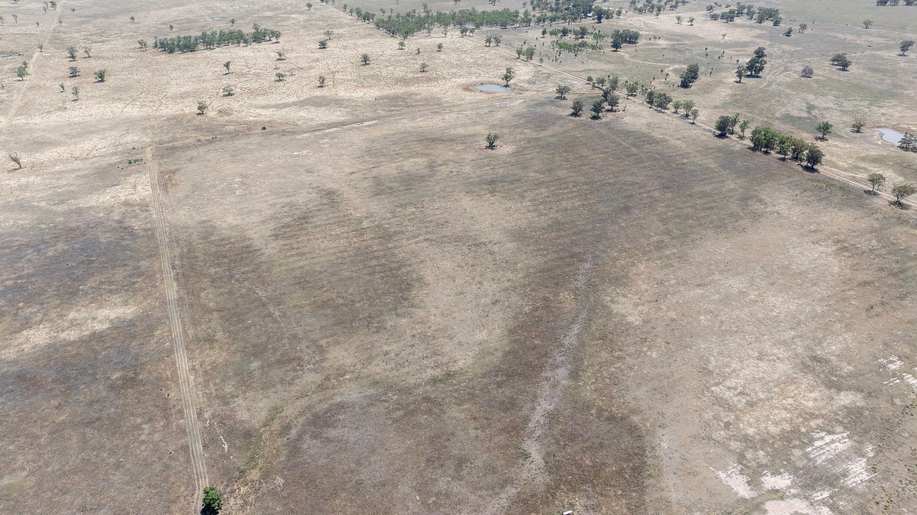 Boggabri, NSW 2382 - Commercial Farming for Lease - Ray White Fleming ...