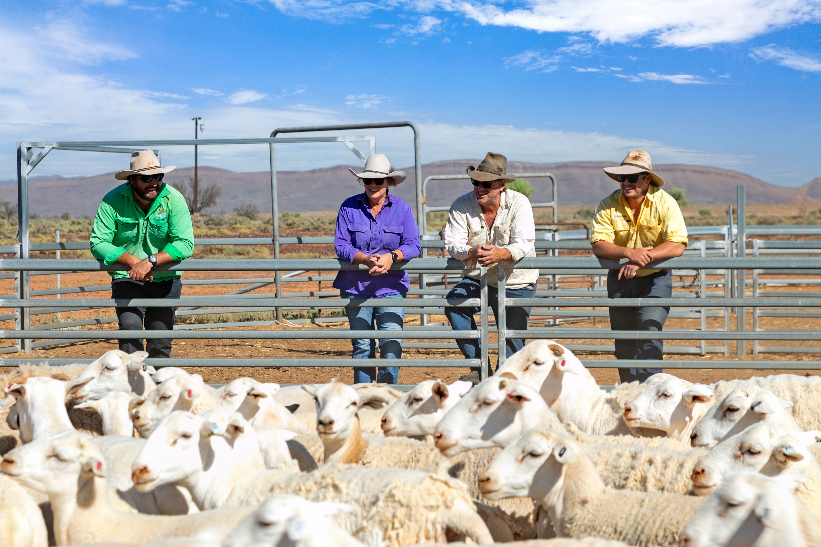 Ray White Rural South Australia
