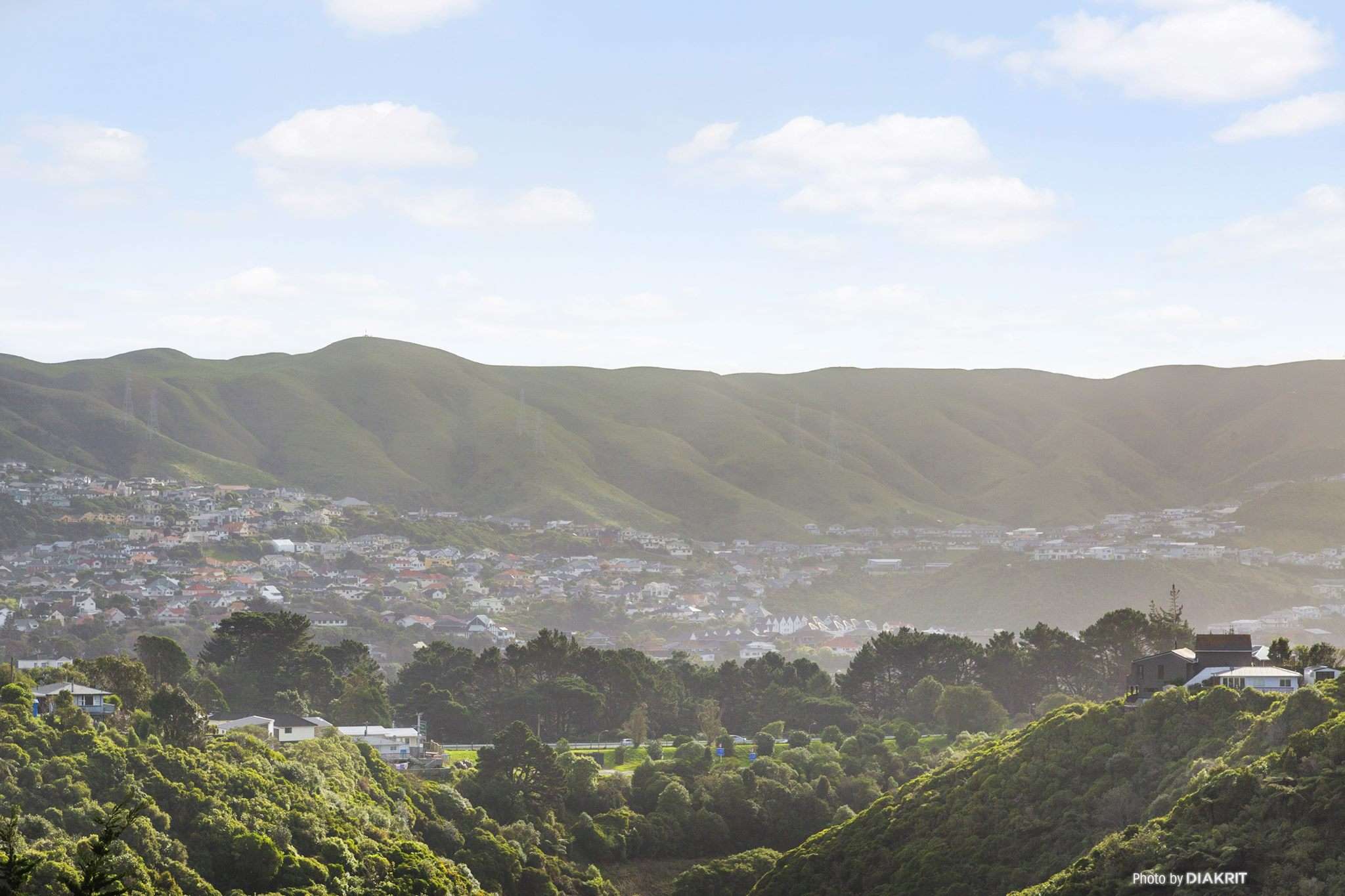 15/6 Bushland Grove, Paparangi, Wellington City | Real Estate | Ray ...