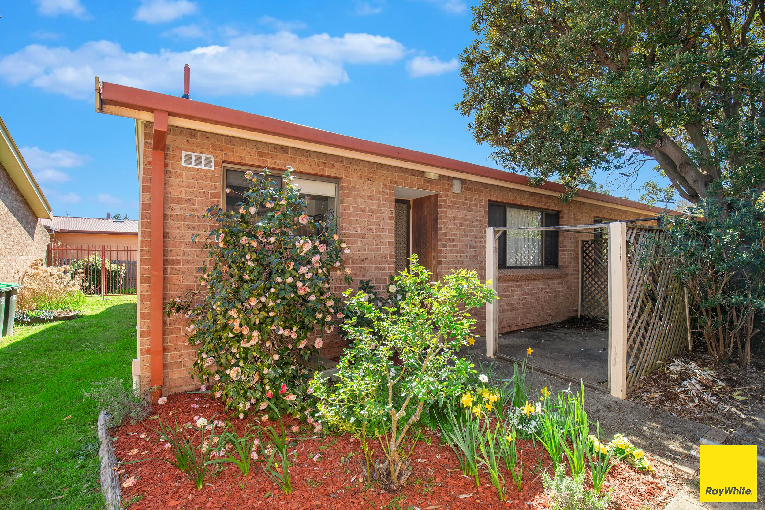 31-35 Niagara Street, Armidale, NSW 2350 - Unit for Sale - Ray White ...
