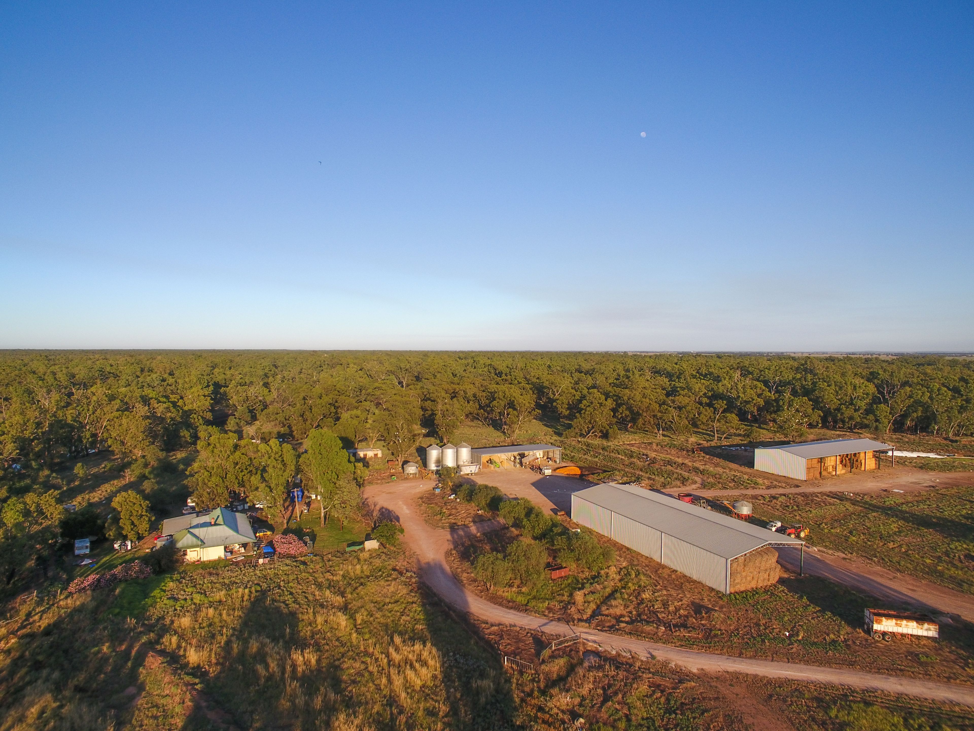 Yanco, NSW 2703 - Sold Rural Mixed Farming Property - Ray White Griffith