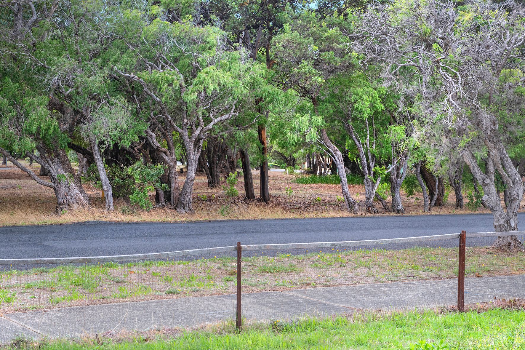 7 Donovan Street, Augusta, WA 6290 - Land for Sale - Ray White Stocker ...