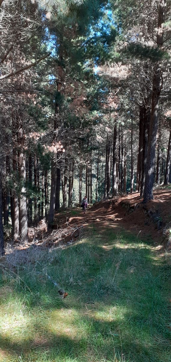 3586C Waihopai Valley Road, Waihopai Valley, Marlborough District 7271 ...