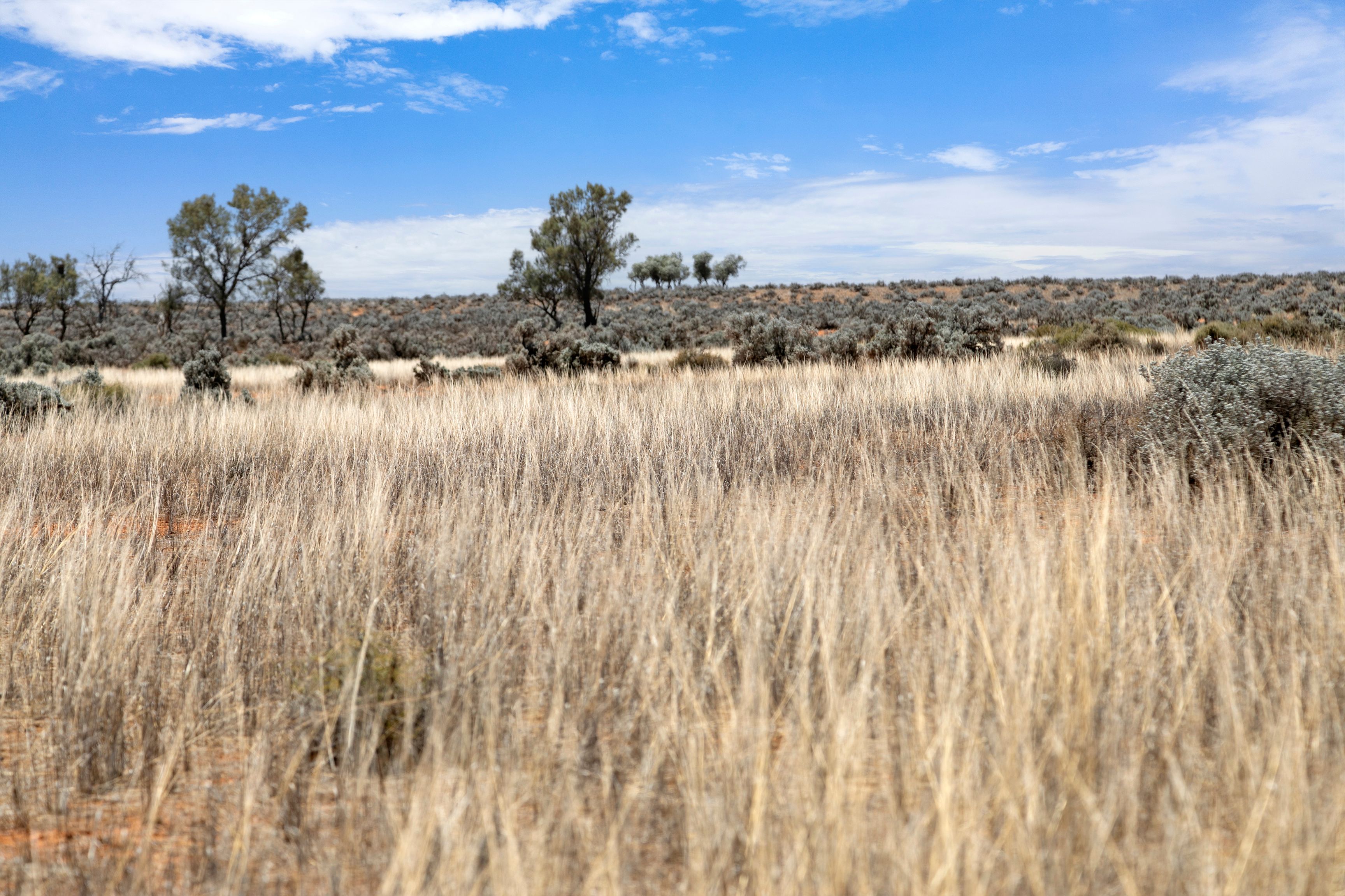 'Koomooloo Station' Koomooloo Road, Burra, SA 5417 - Sold Rural ...