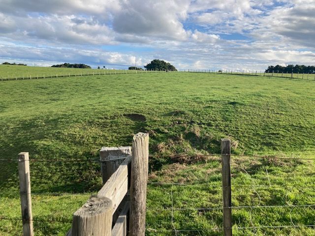 156 Morrison Road, Pukekawa, Waikato District 2696 - Lifestyle Section ...