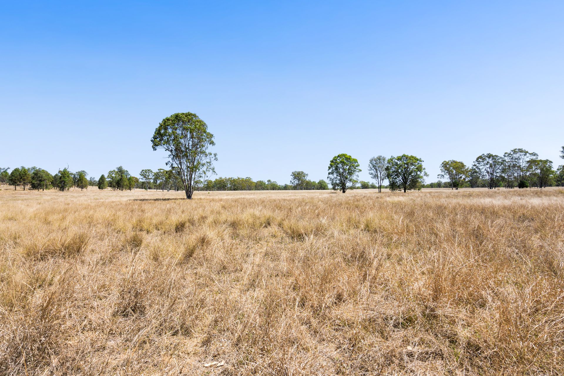 Ray White Rural & Livestock • Lot 14 Coes Boundary Road, Durong, QLD ...