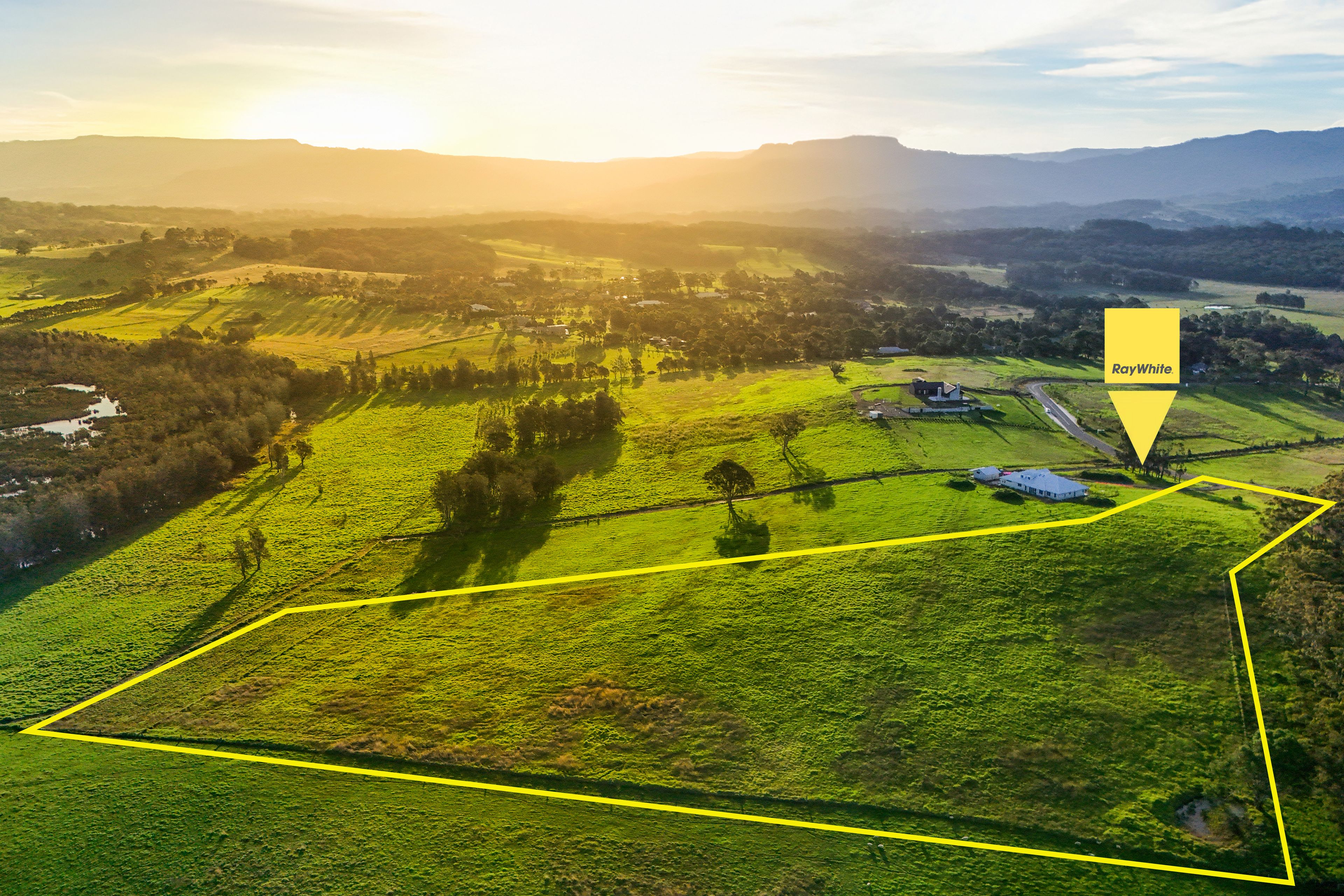 Ray White Berry