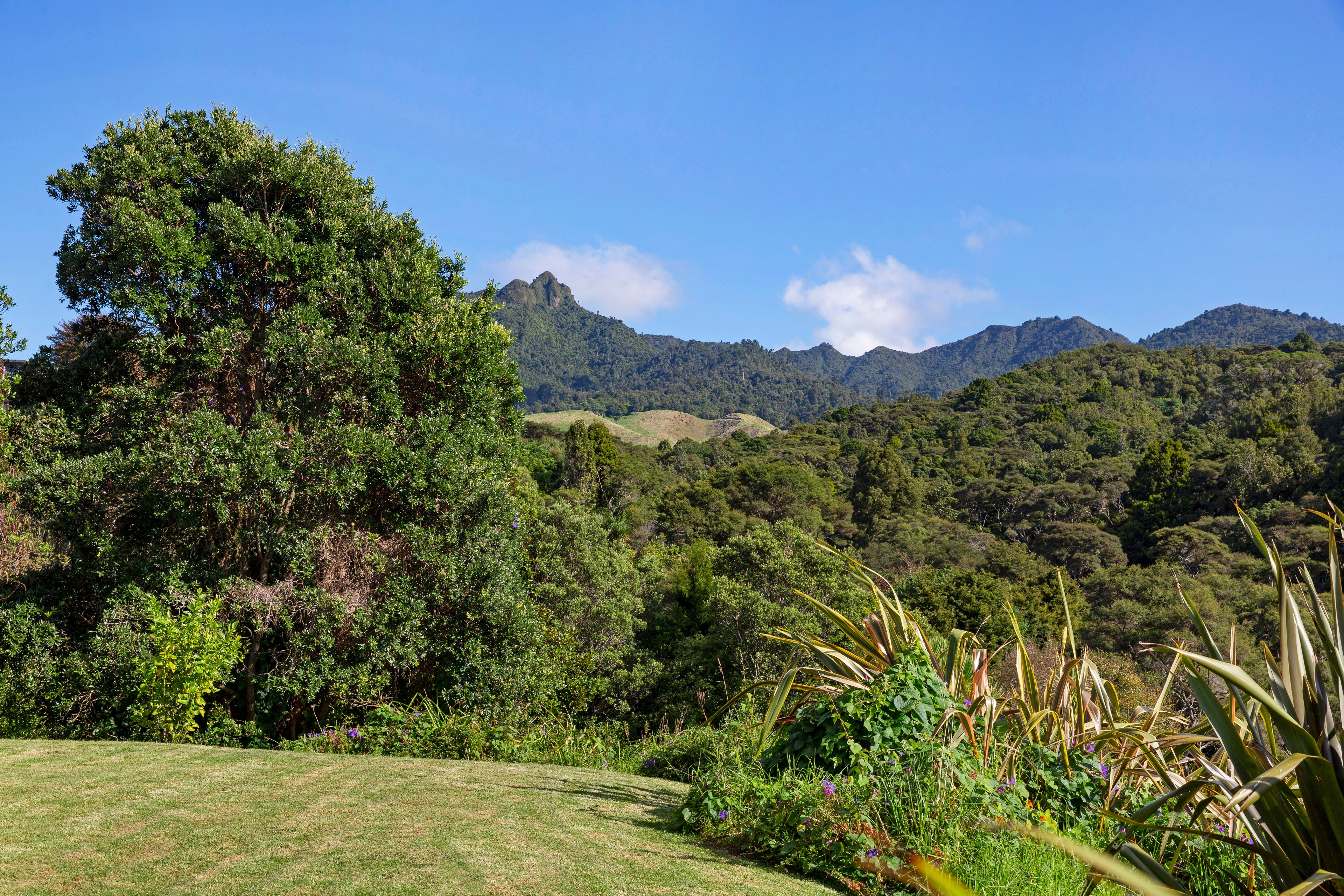 72a Upper Wainui Road, Raglan, Waikato District 3225 - Sold Section ...