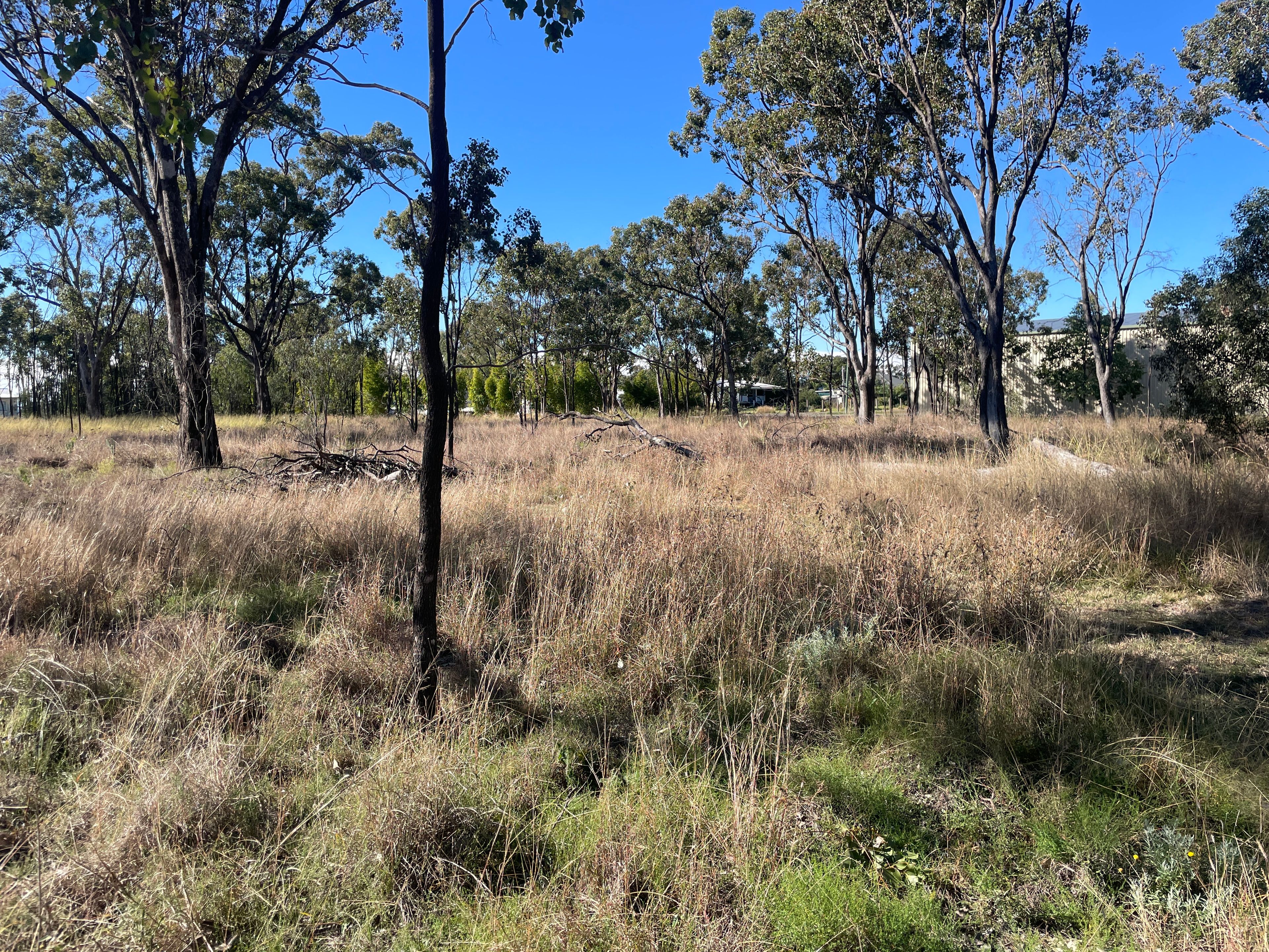 Ray White Rural Pittsworth