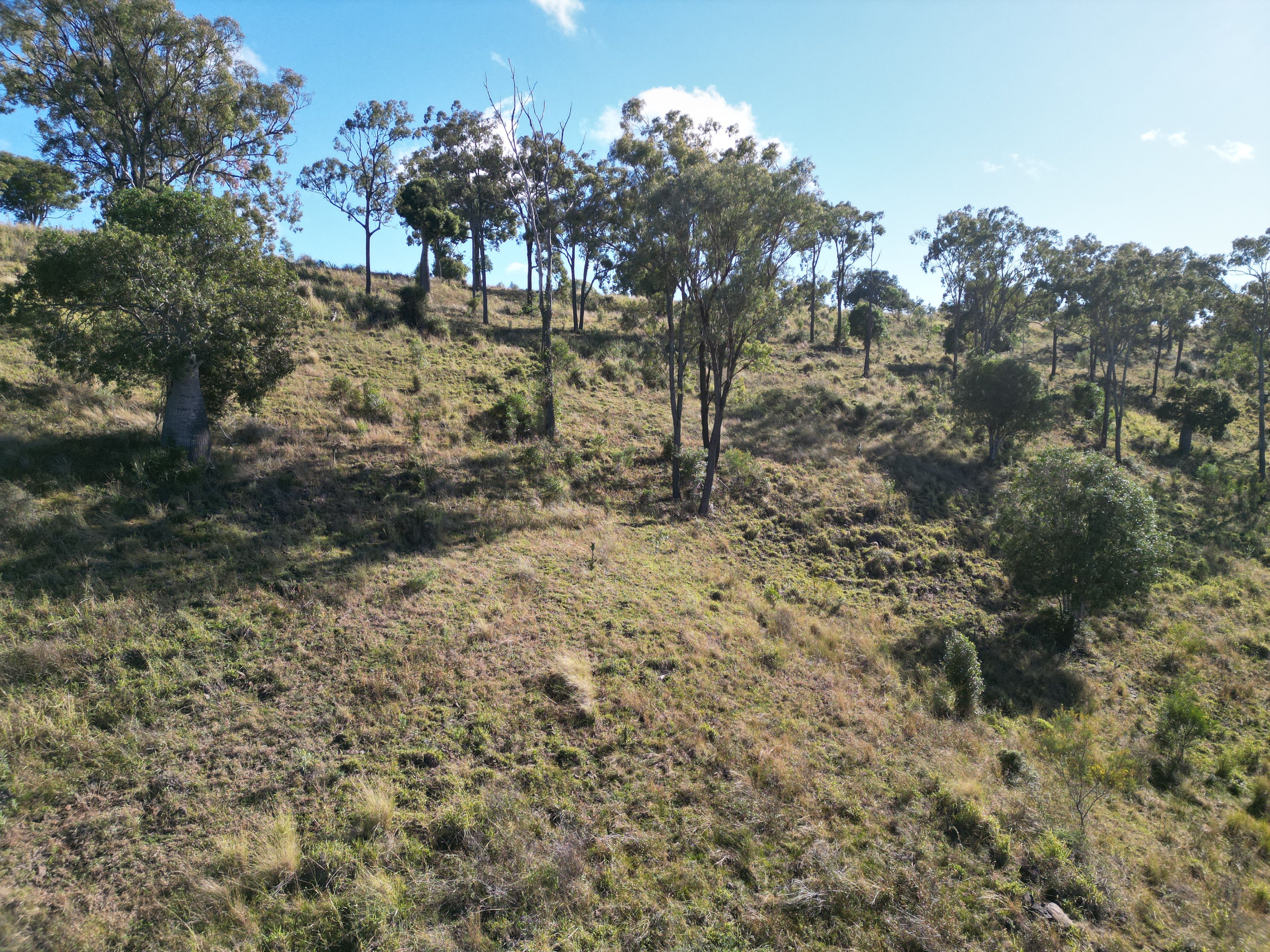 Lot 223 Oakey Cooyar Road, Kulpi, QLD 4352 - Sold Rural Property - Ray ...