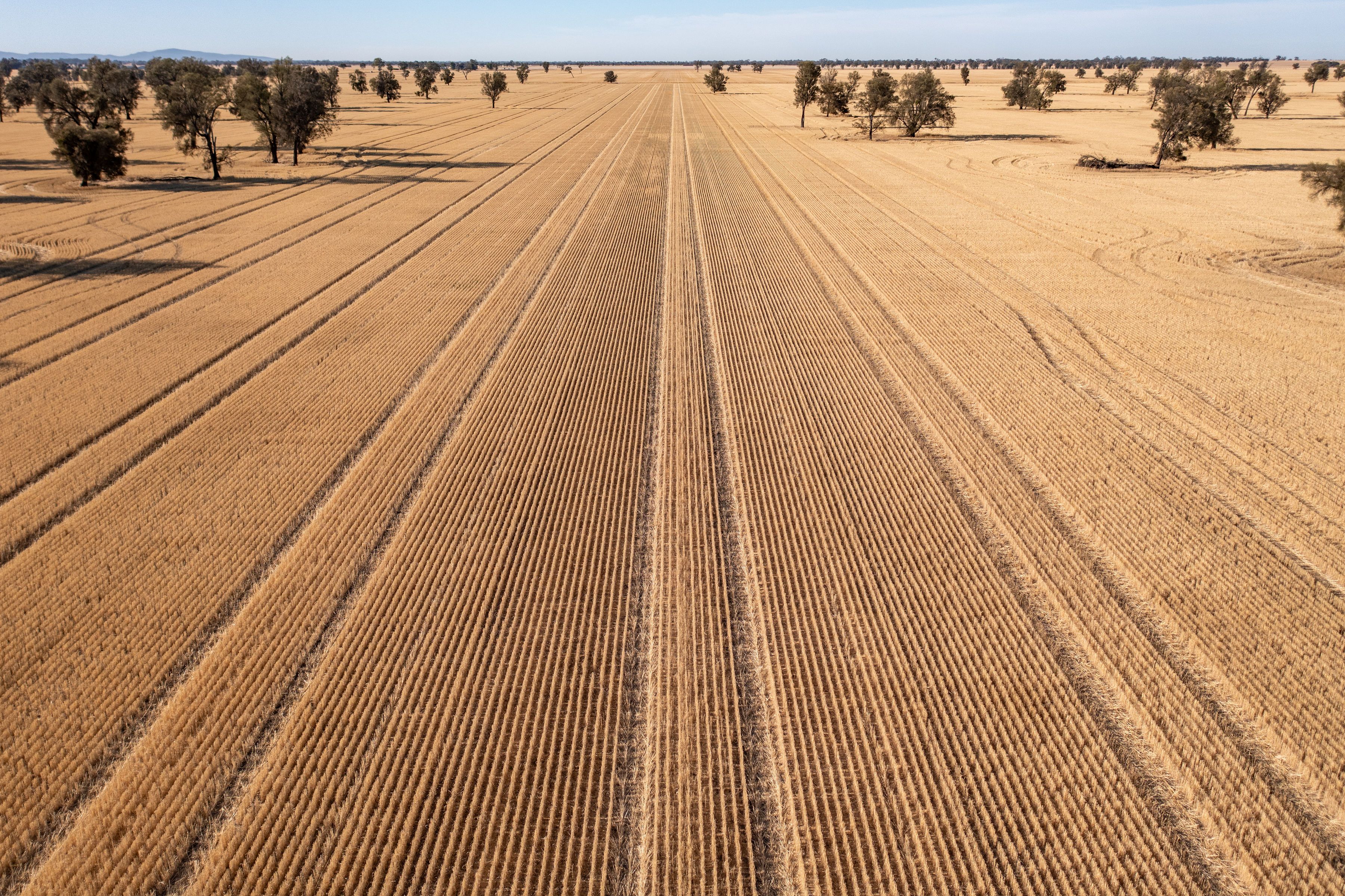 "Noradjuha" - CA 37B & CA 38A Natimuk-Hamilton Road, NORADJUHA, VIC ...