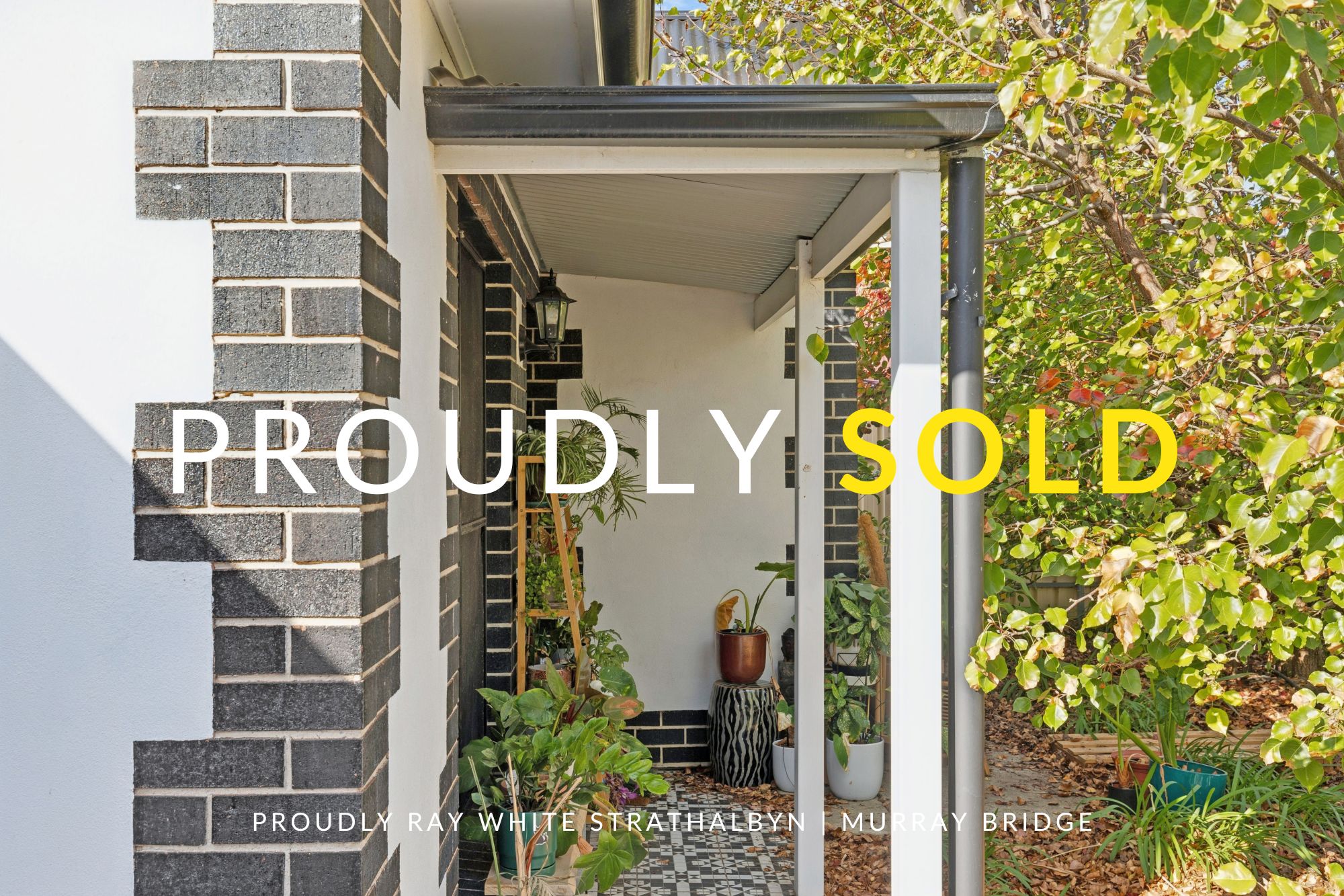 2/255B Swanport Road, Murray Bridge, SA 5253 - Sold House - Ray White ...