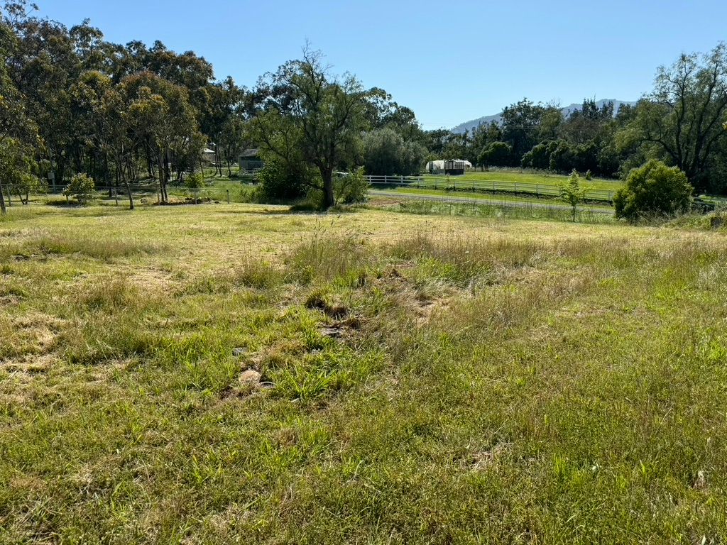 25 Ellerston Street, Moonan Flat, NSW 2337 - Sold Land - Ray White ...