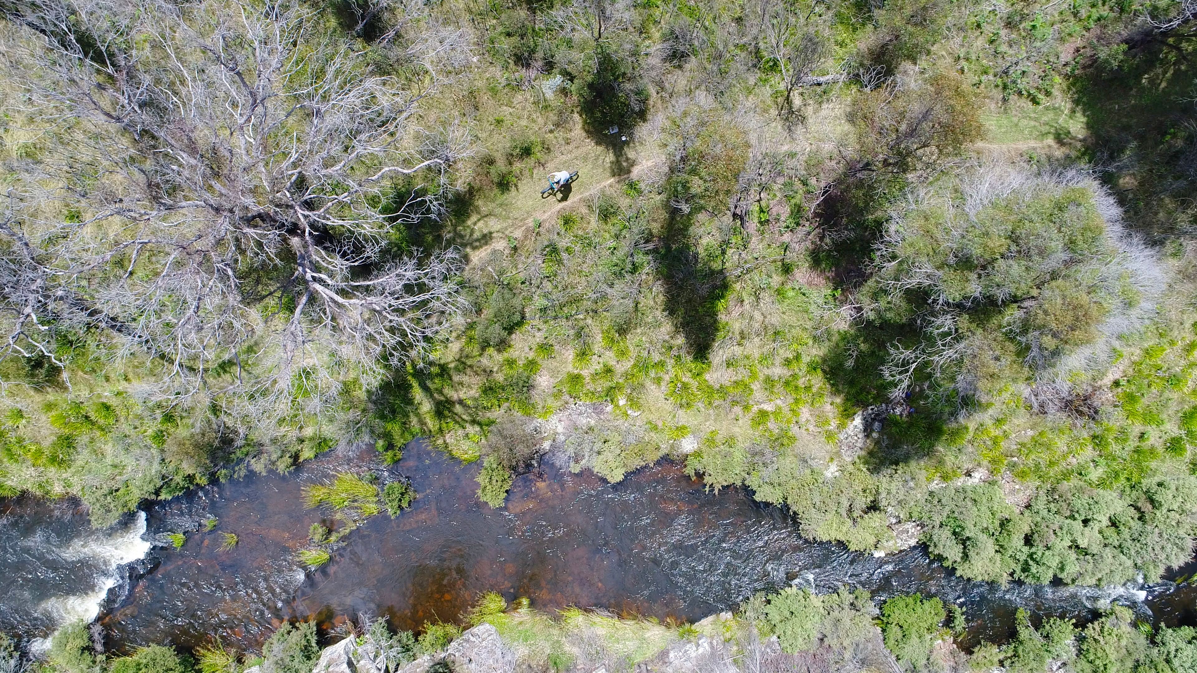 194 Point Lookout Road Ebor, Dorrigo, NSW 2453 - Sold Rural Lifestyle ...