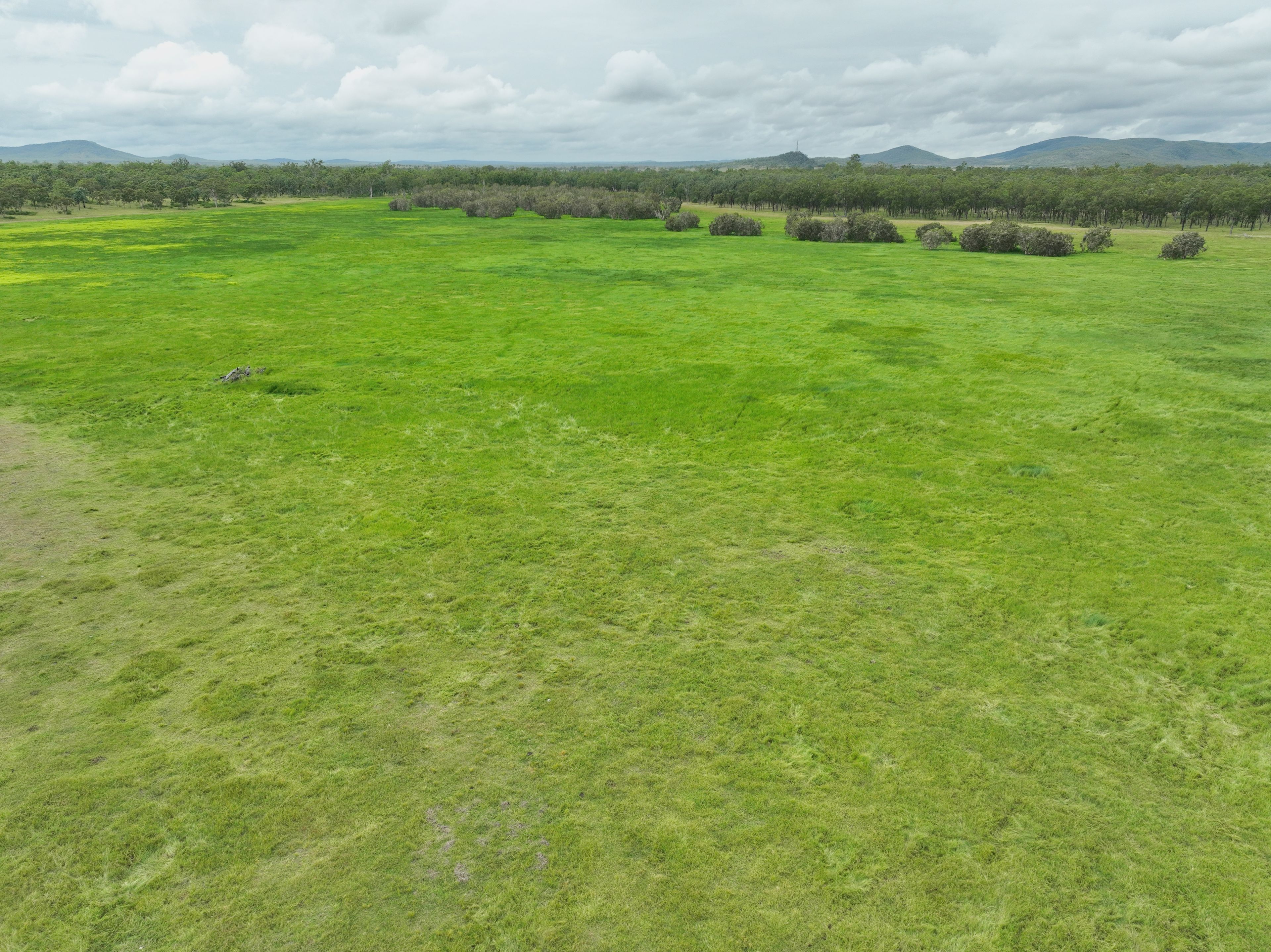 "Montrose" - "Montrose" St Lawrence Road, Marlborough, QLD 4705 - Sold ...