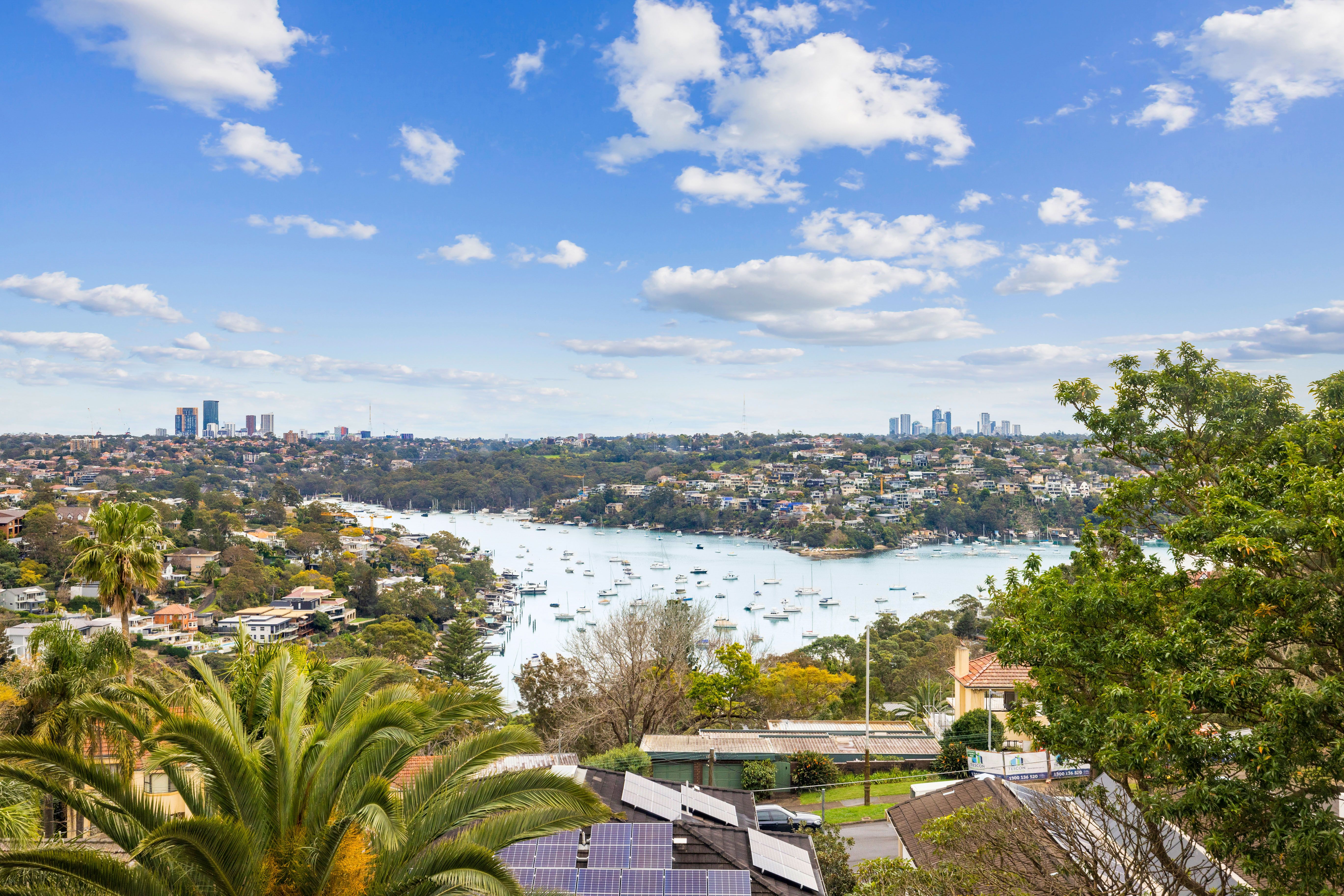Ray White Residential Sydney CBD