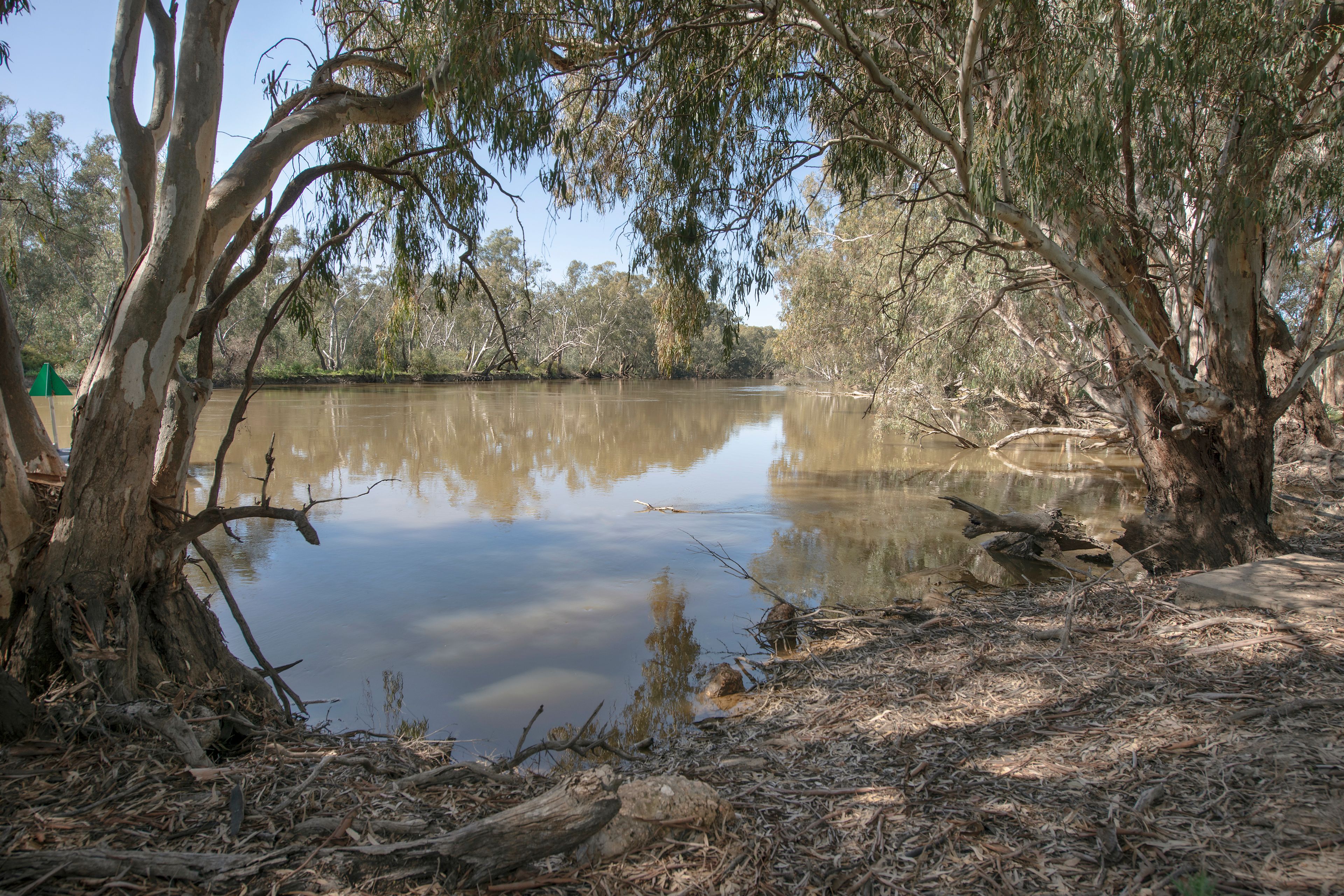 3884 Murray Valley Highway, Piangil, VIC 3597 - Sold Acreage/Semi-Rural ...