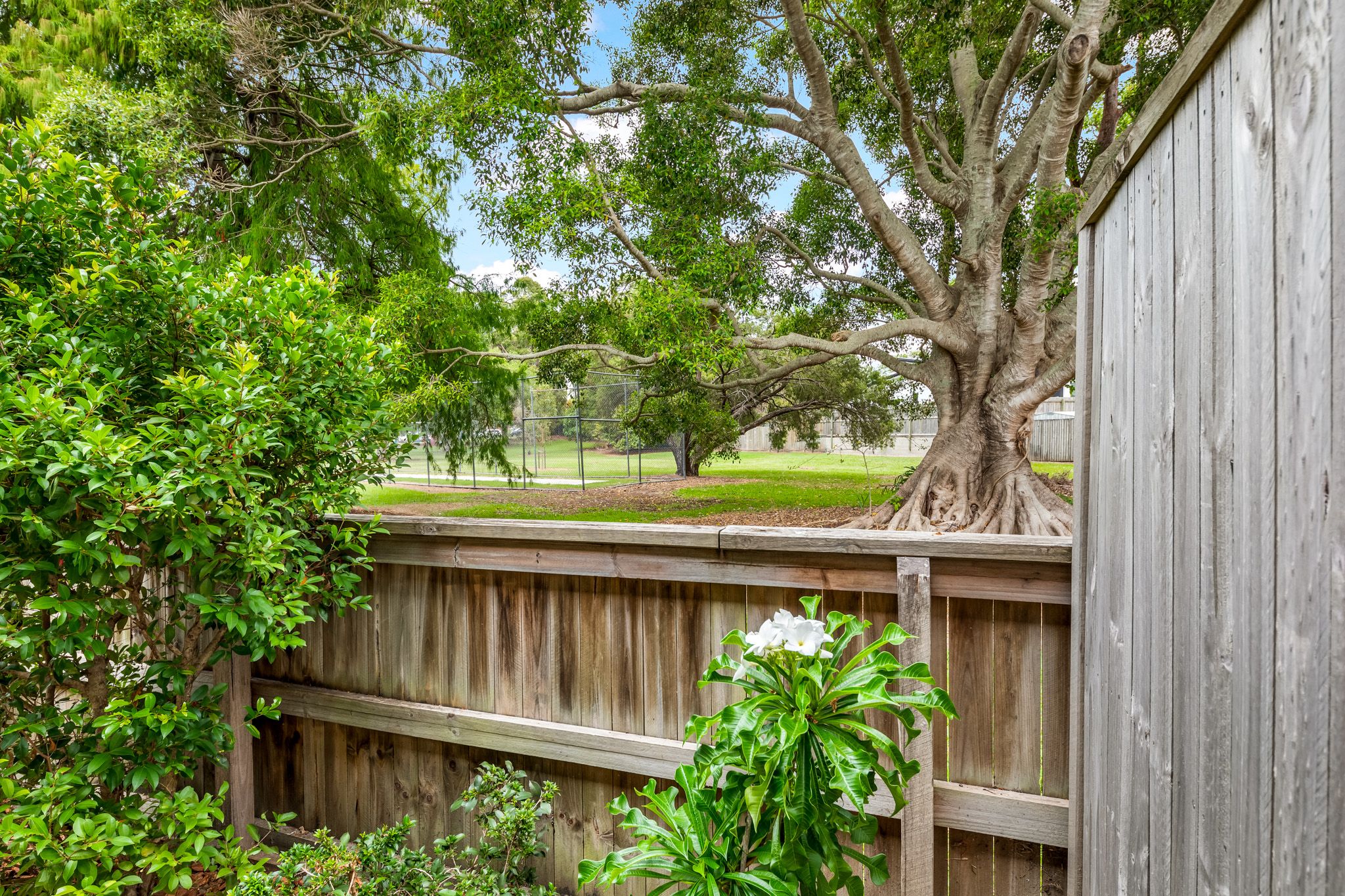 2/4 Sunshine Court, Maroochydore, QLD 4558 - Sold Unit - Ray White ...