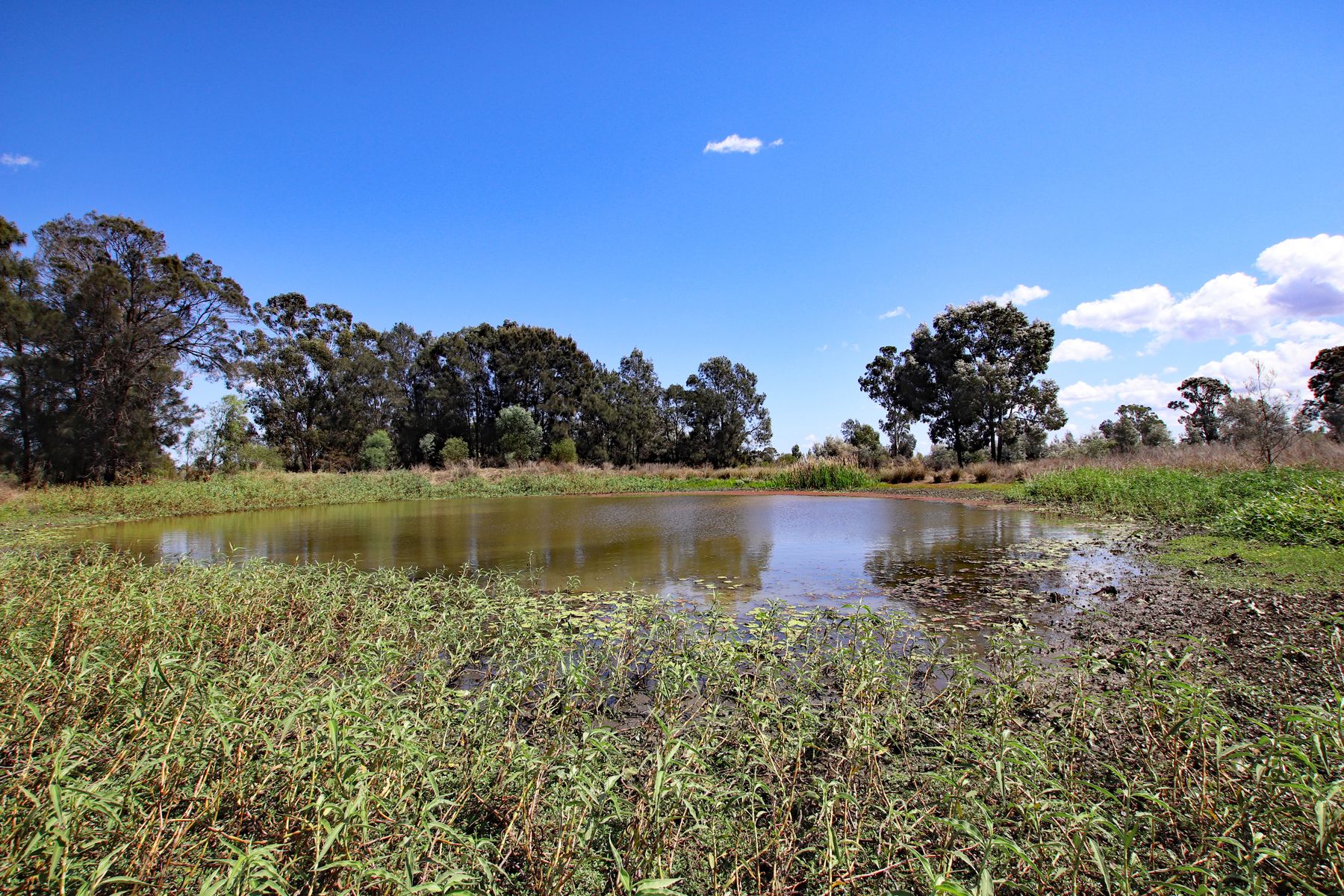 1186 Argoon Kilburnie Road, Jambin, QLD 4702 - Sold Rural Property ...