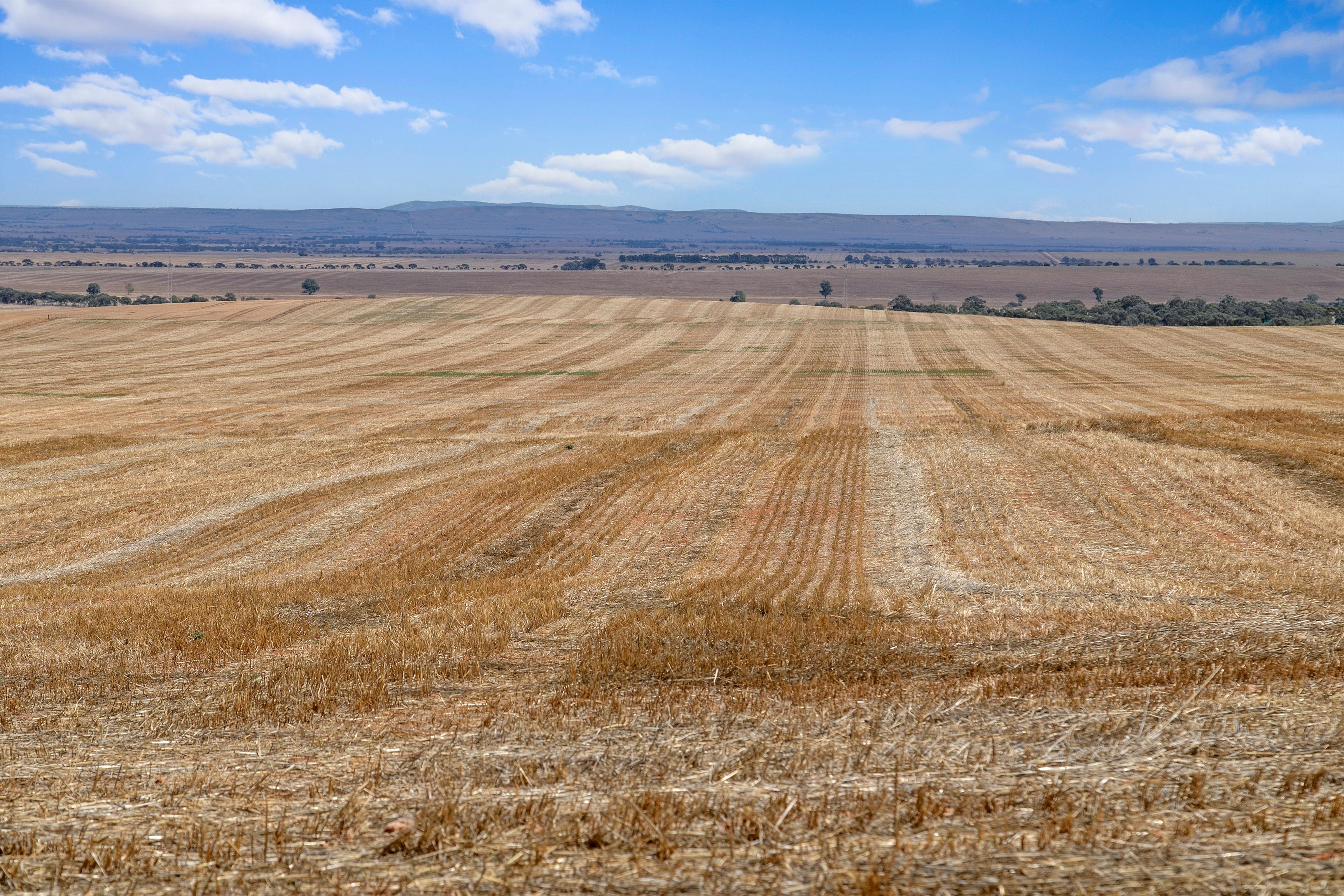 'Lamonds' Mount George Road, Hoyleton, SA 5453 - Sold Rural Mixed ...