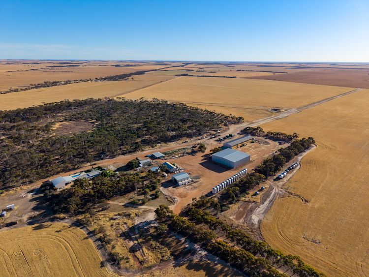 Ray White Rural (WA)