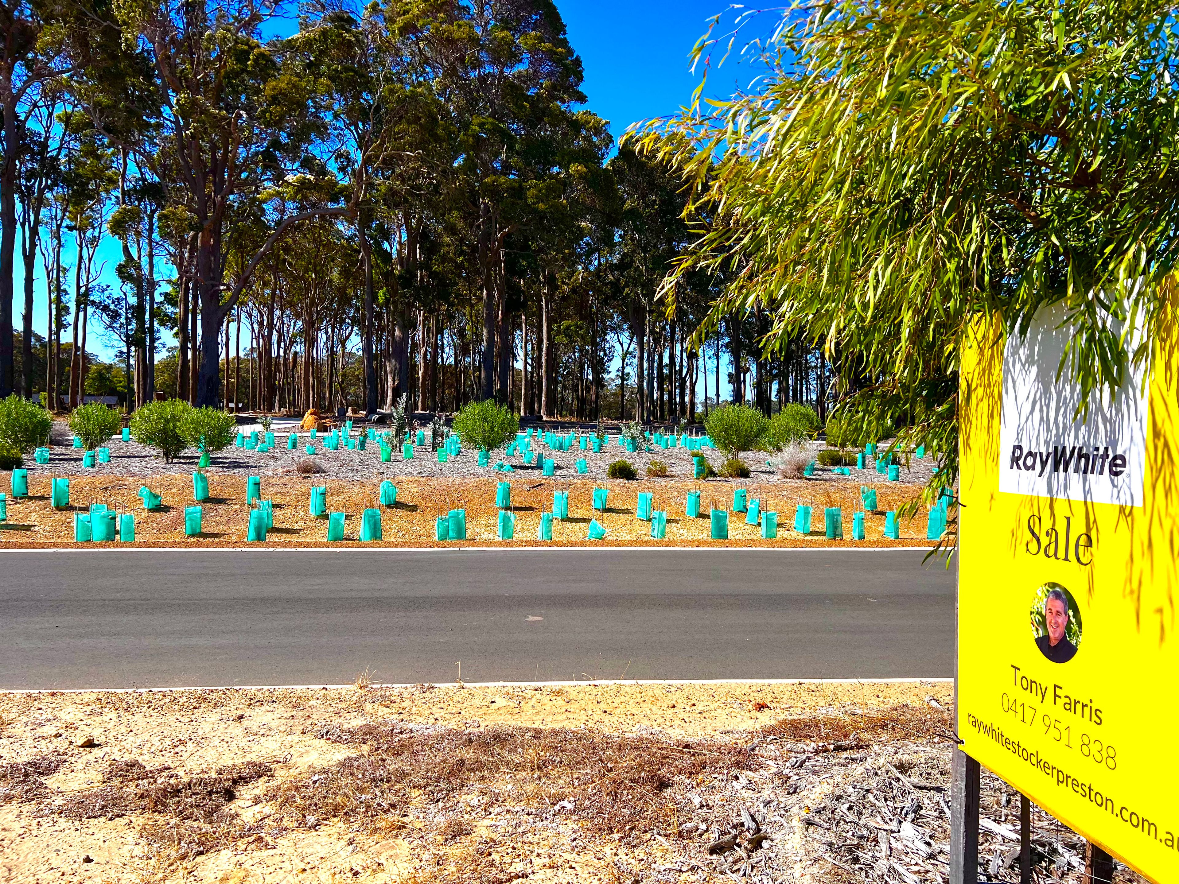 17 Lomandra Way, Witchcliffe, WA 6286 - Sold Land - Ray White Stocker ...