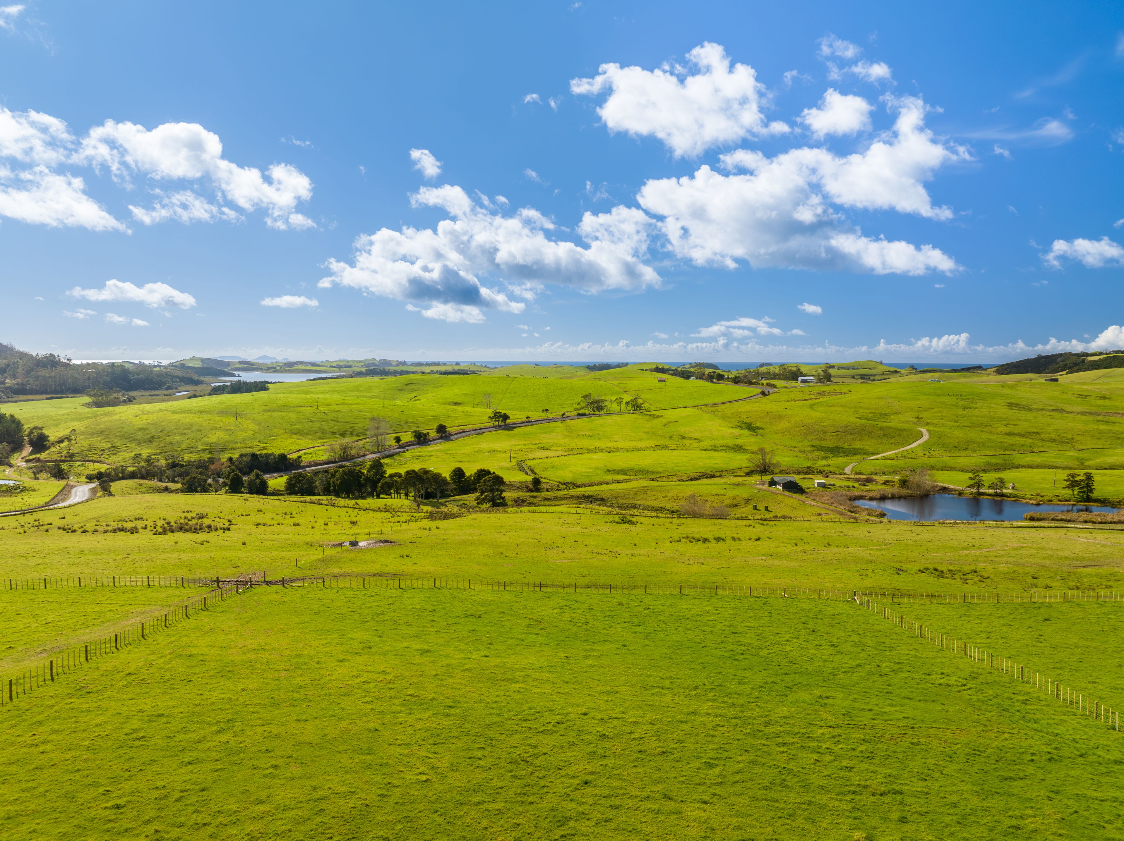 Lot 4 Kauri Mountain Road, Taiharuru, – Home For Sale • Ray White New ...