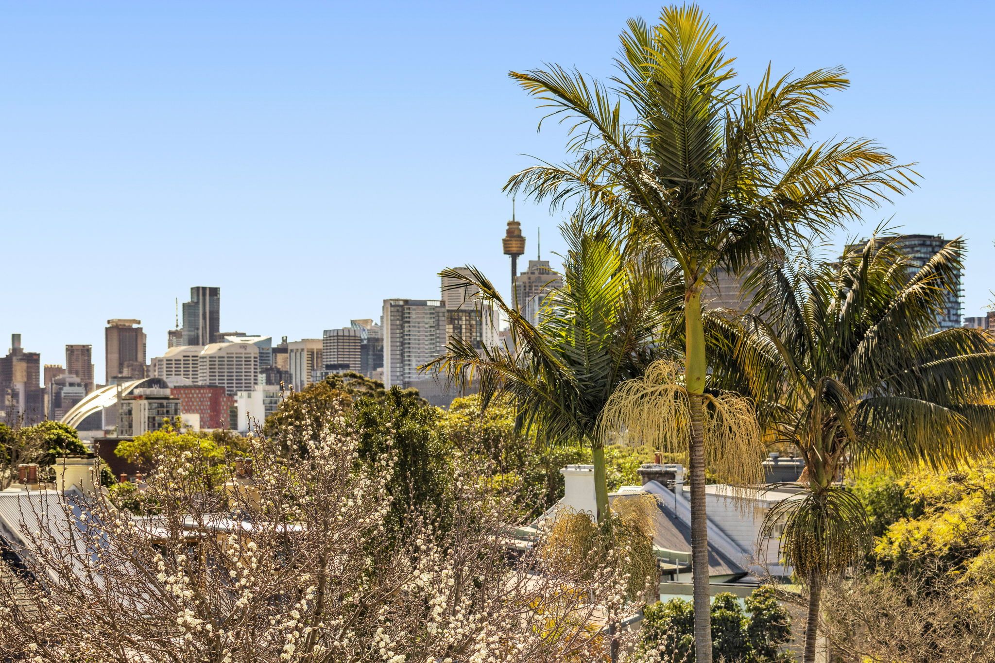 404 Wilson Street, Darlington, NSW 2008 - Sold House - Ray White Surry ...