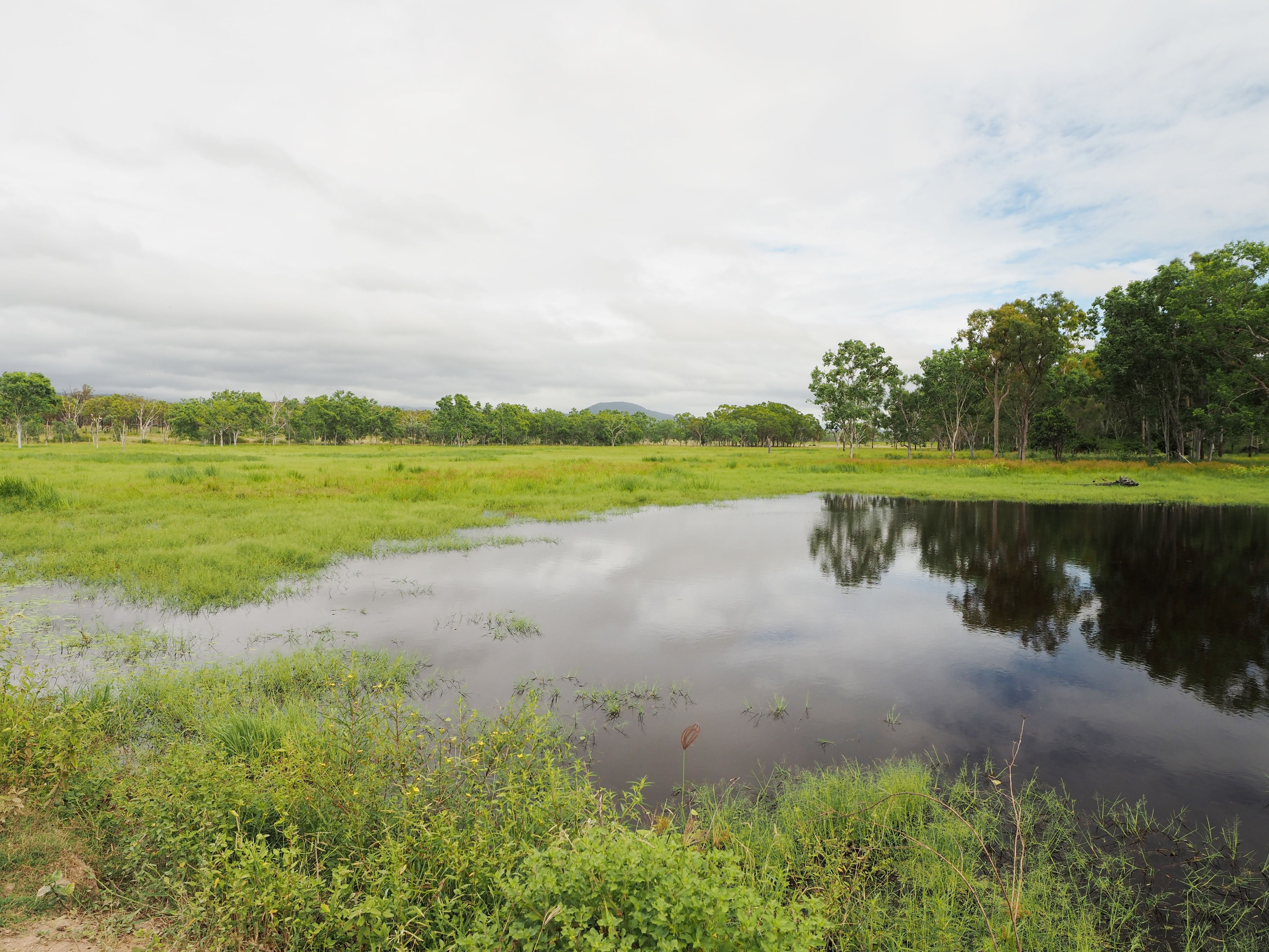 "Montrose" - "Montrose" St Lawrence Road, Marlborough, QLD 4705 - Sold ...