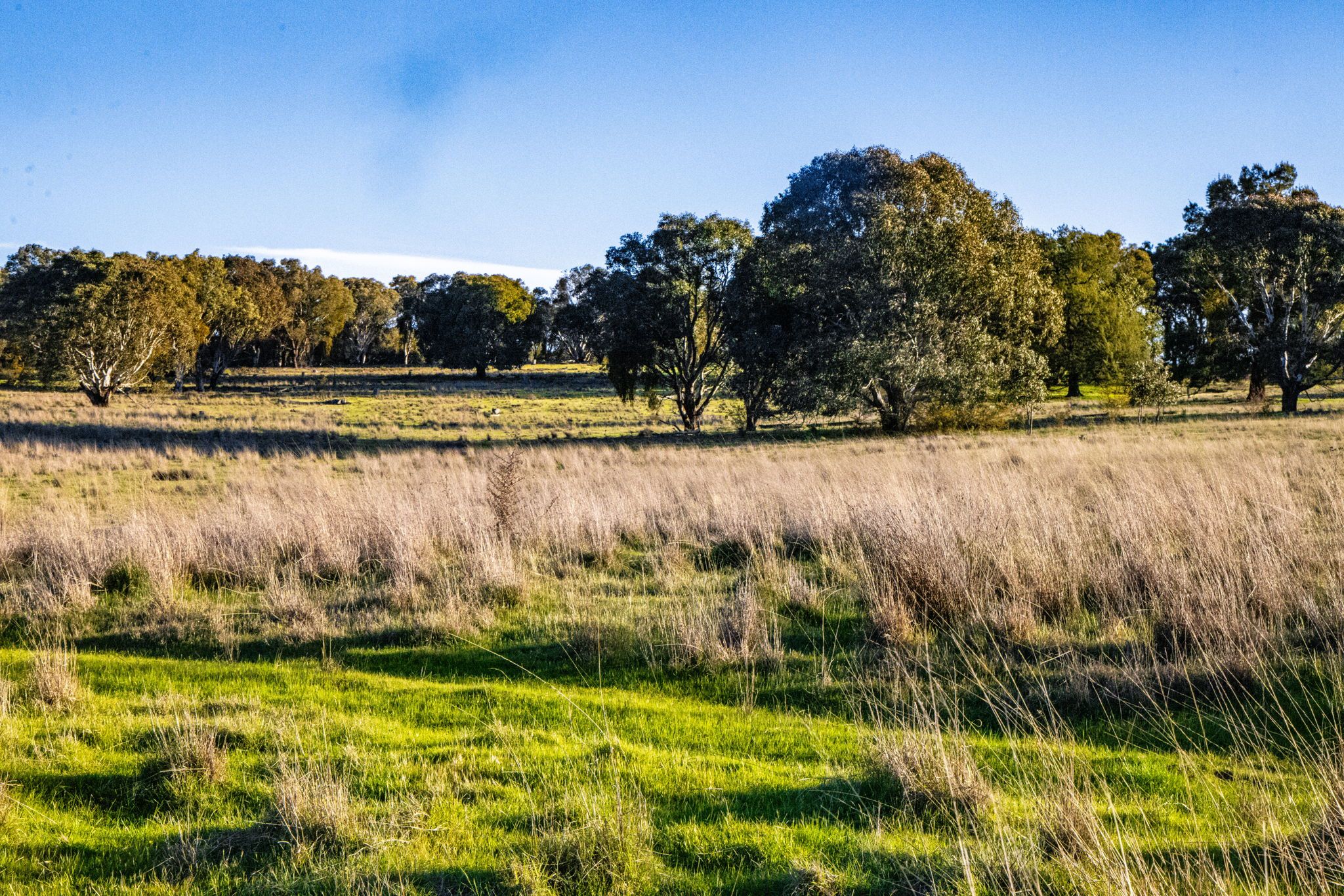 "The Junction" Mulgowrie Road, CROOKWELL, NSW 2583 - Sold Land - Ray ...