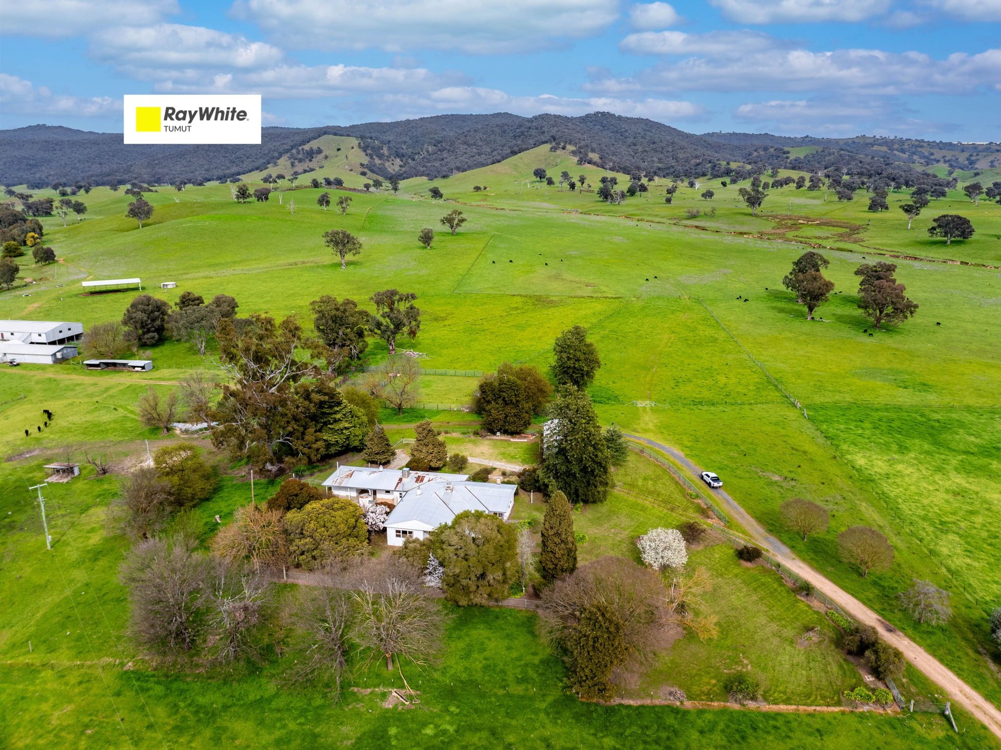 Ray White Rural & Livestock • 1701 Adelong Road, Gundagai, NSW – Rural