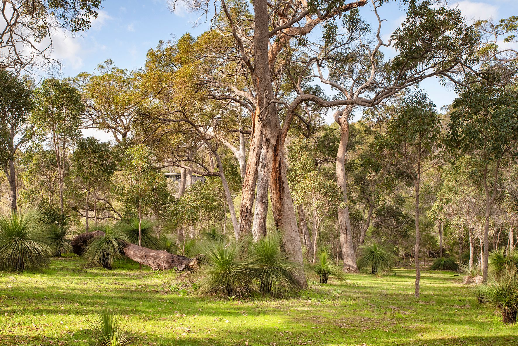 Quindalup, WA 6281 - Sold Land - Ray White Stocker Preston