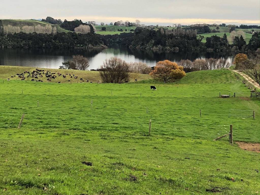 728 Lake Arapuni Road, Putaruru, South Waikato District | Real Estate ...