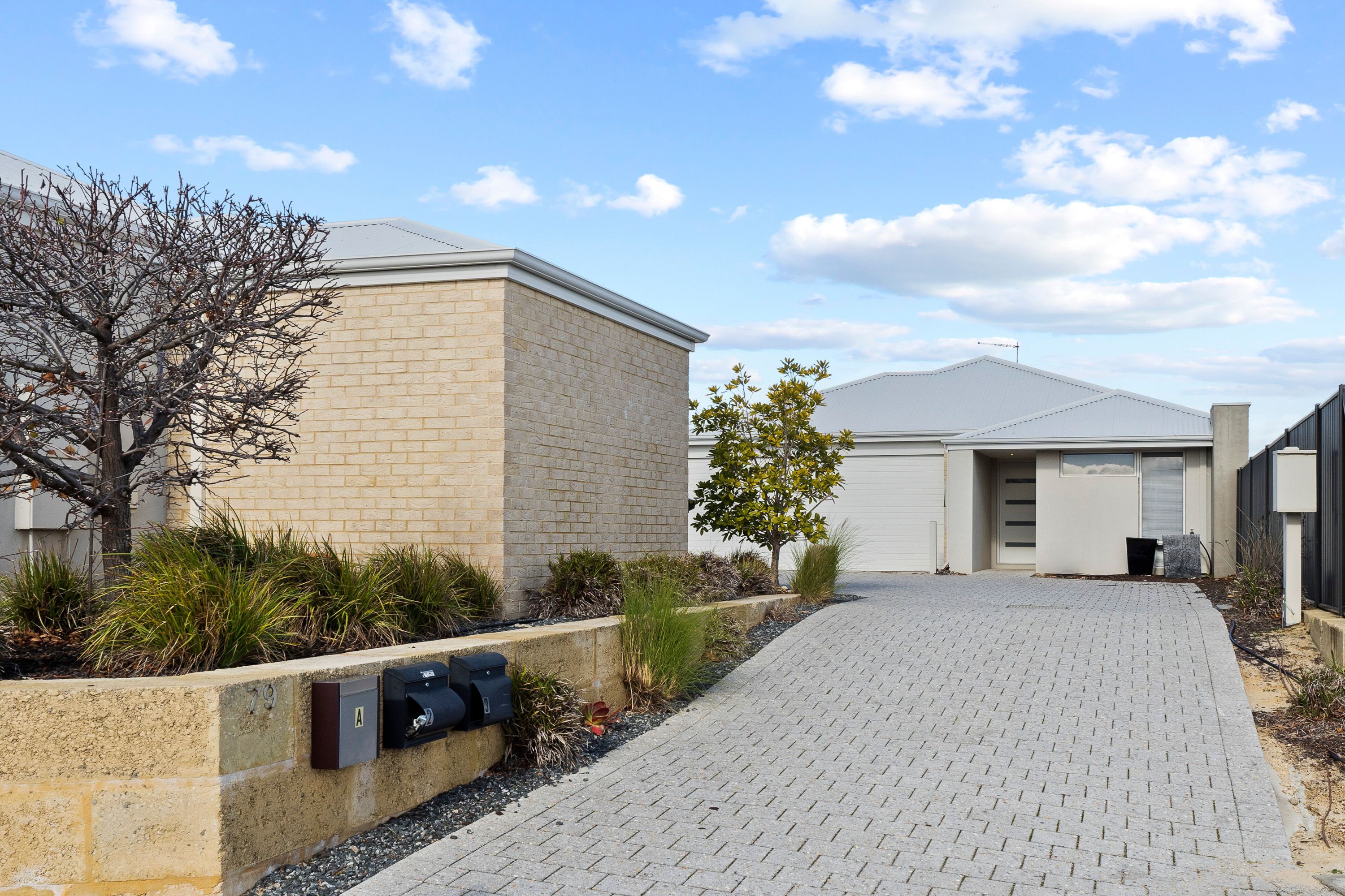 Ray White The Ialacci Group