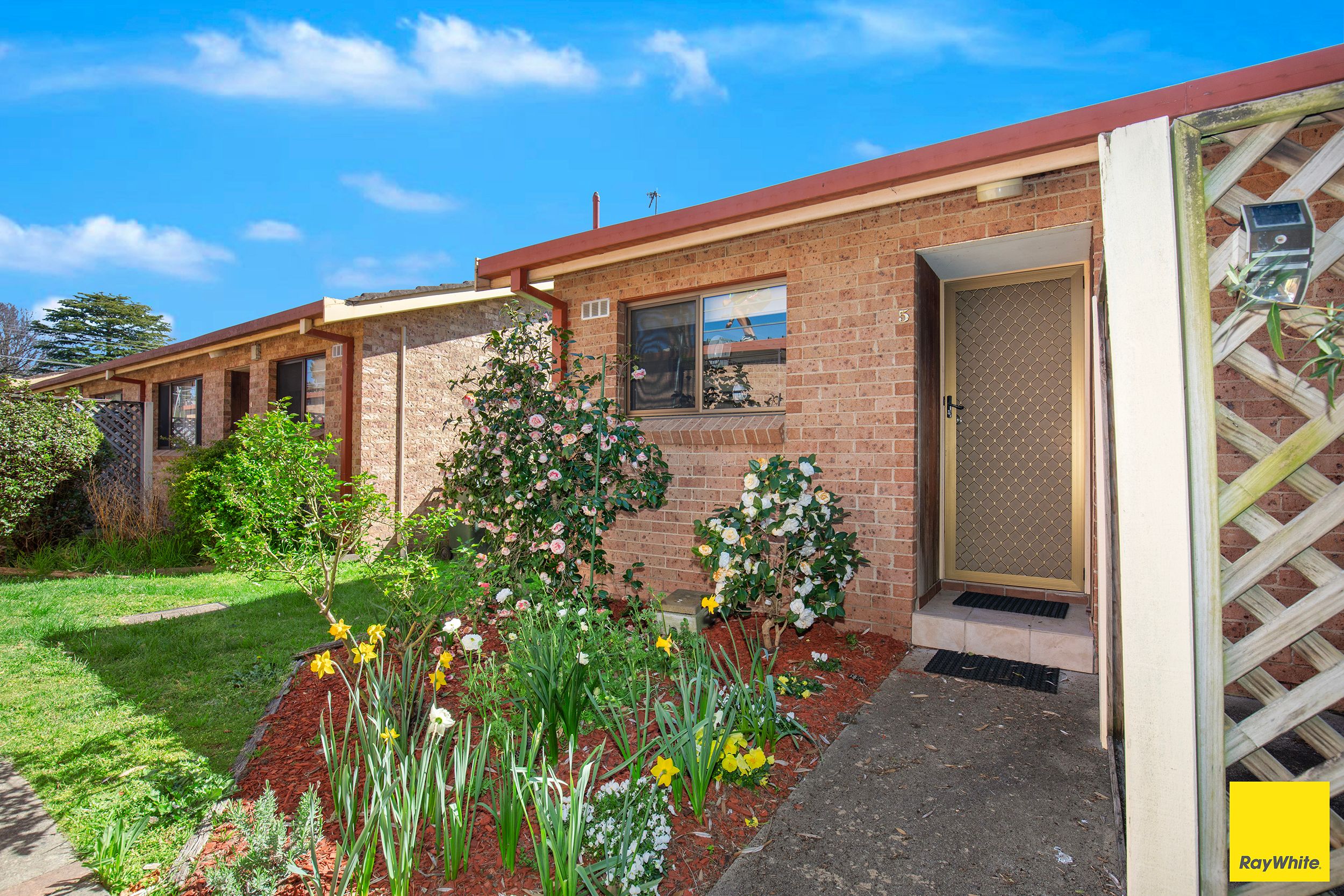 31-35 Niagara Street, Armidale, NSW 2350 - Unit for Sale - Ray White ...
