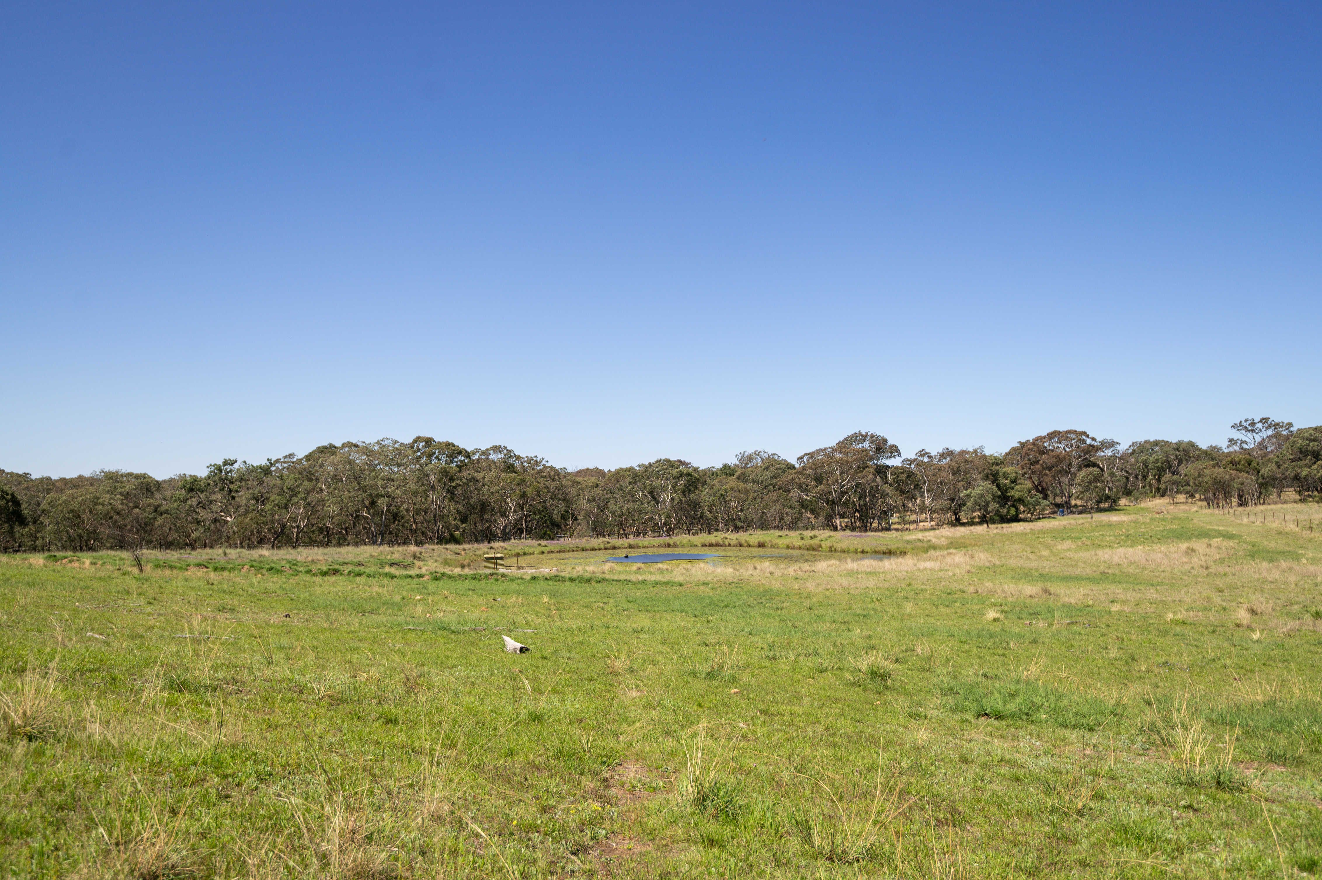 4 Brown Road, Dalveen, QLD 4374 - Rural Lifestyle Property for Sale ...