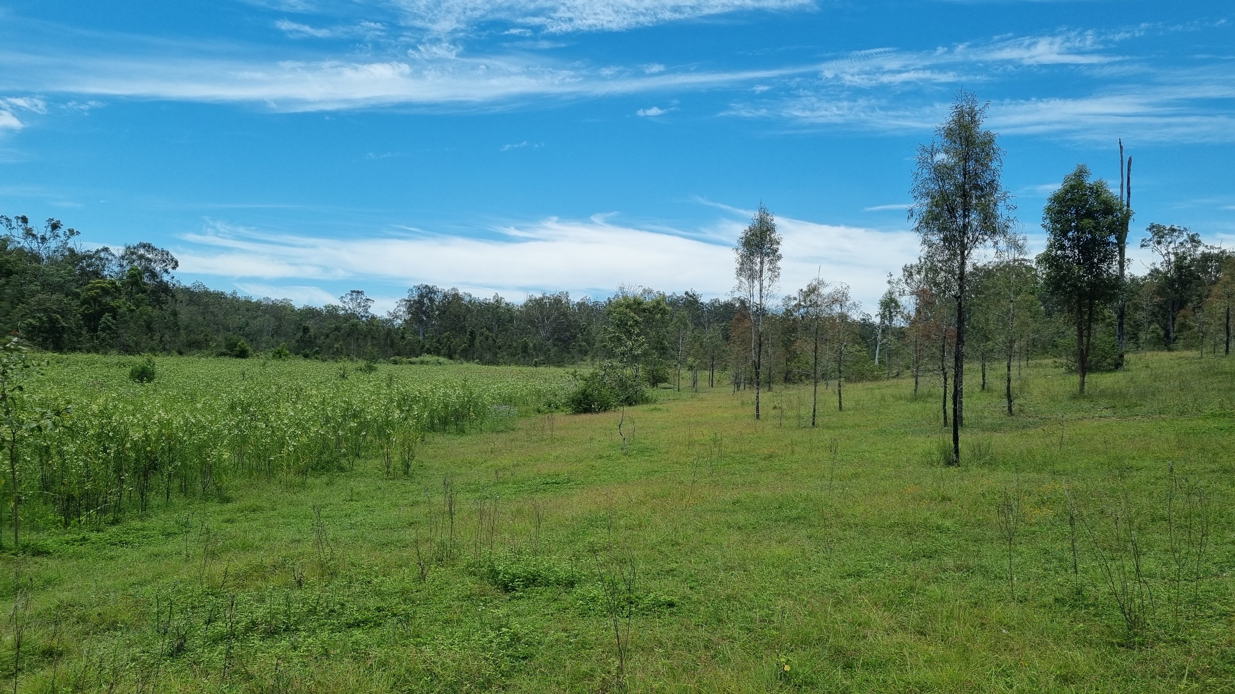 Ray White Rural Queensland