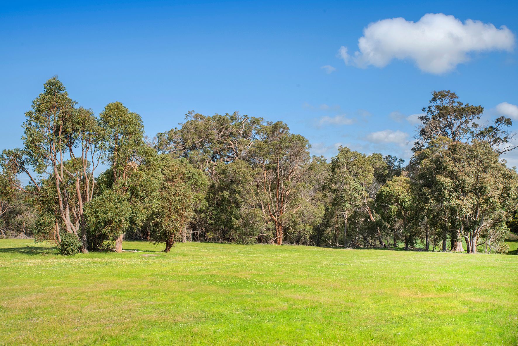 Lot 26 Balmoral Drive, Quindalup, WA 6281 - Sold Land - Ray White ...
