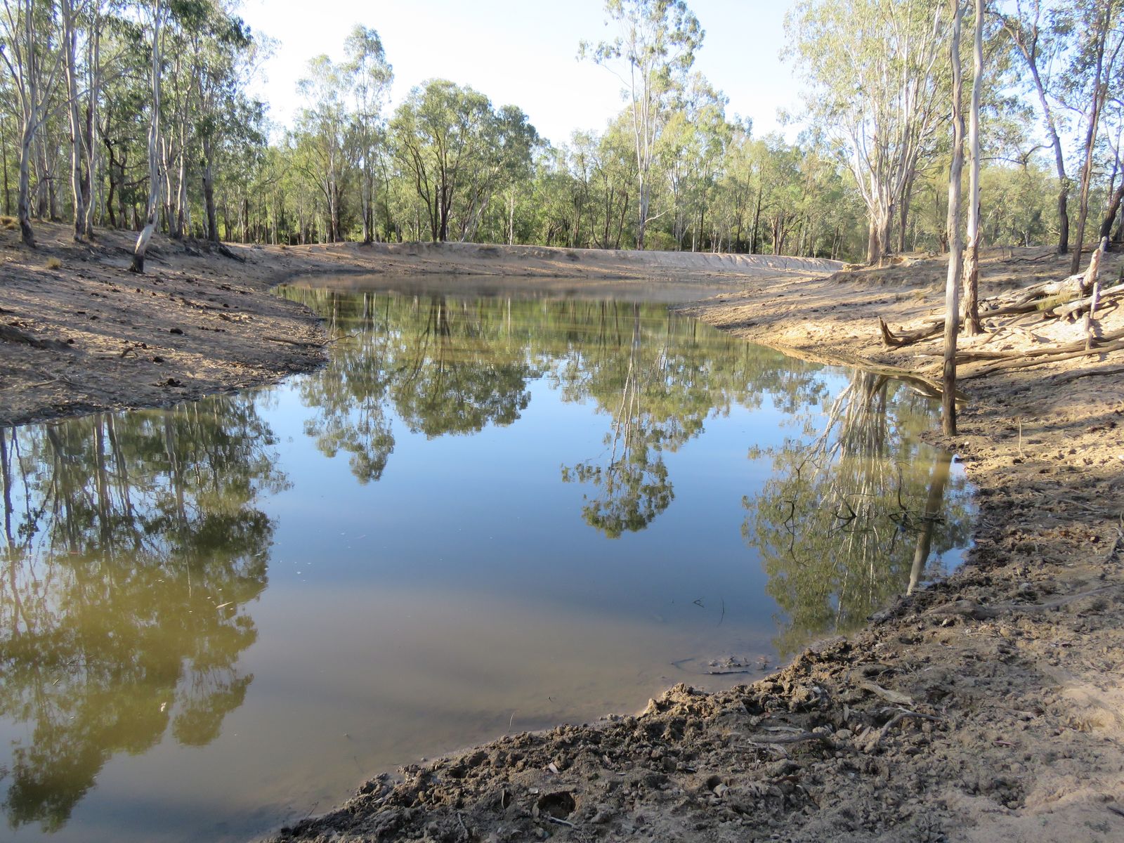 'Twenty' Mundubbera Durong Road, Boondooma, QLD – Rural • Ray White