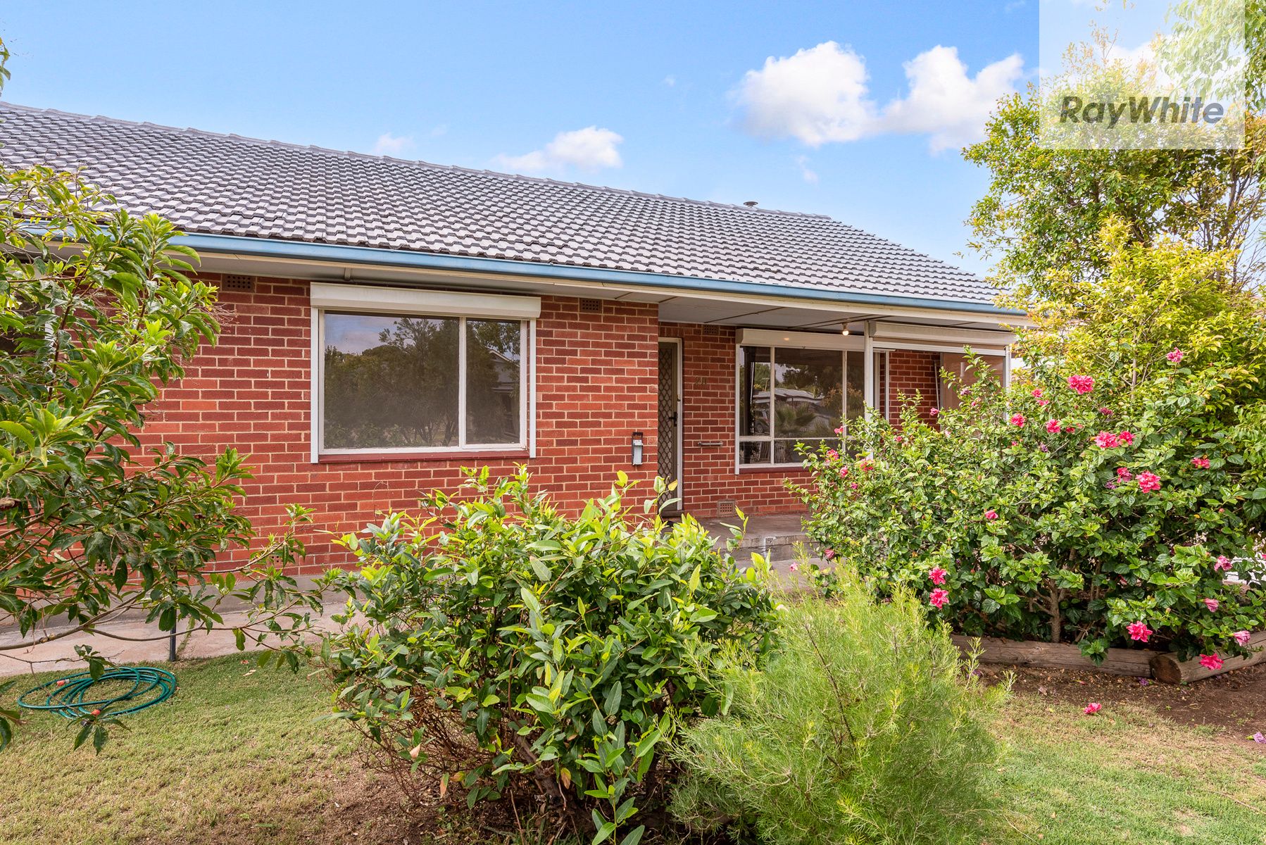 20 Drew Street, Two Wells, SA 5501 - Sold House - Ray White Barossa ...