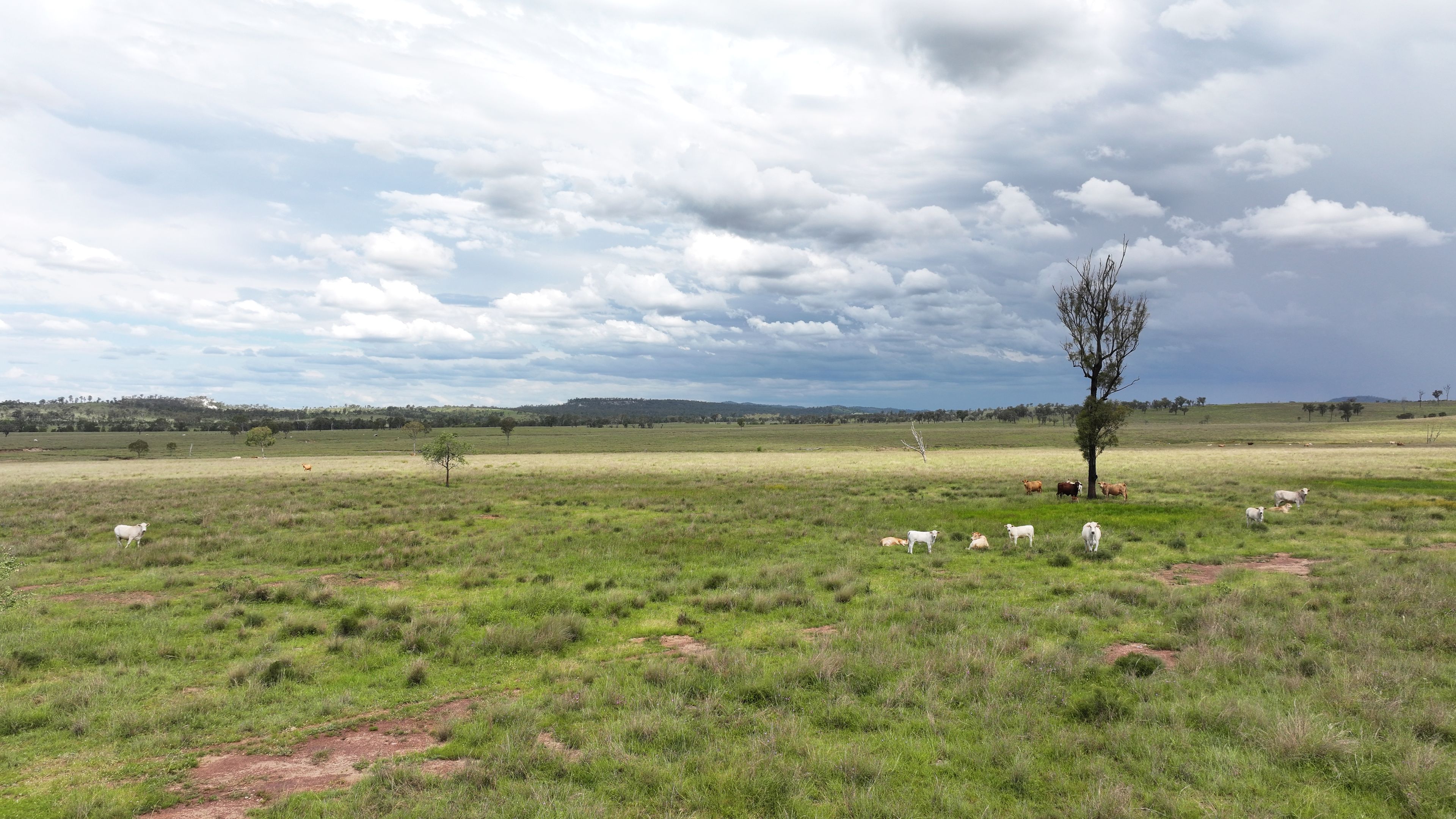"Echo Hills" - "Echo Hills" 2945 Beeron Road, Mundubbera, QLD 4626 ...