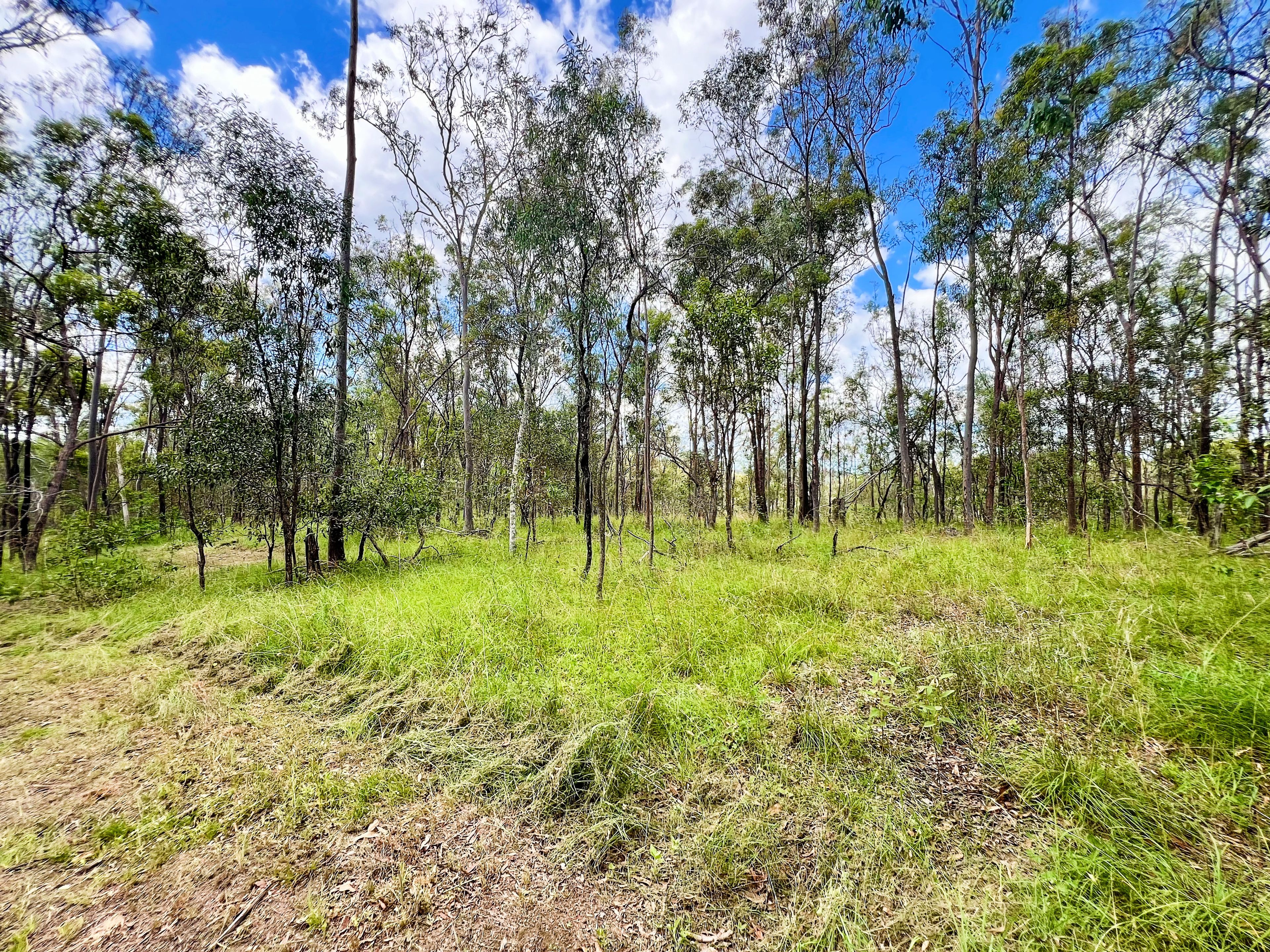 25 Robs Drive, Horse Camp, QLD 4671 - Sold Land - Ray White Bundaberg