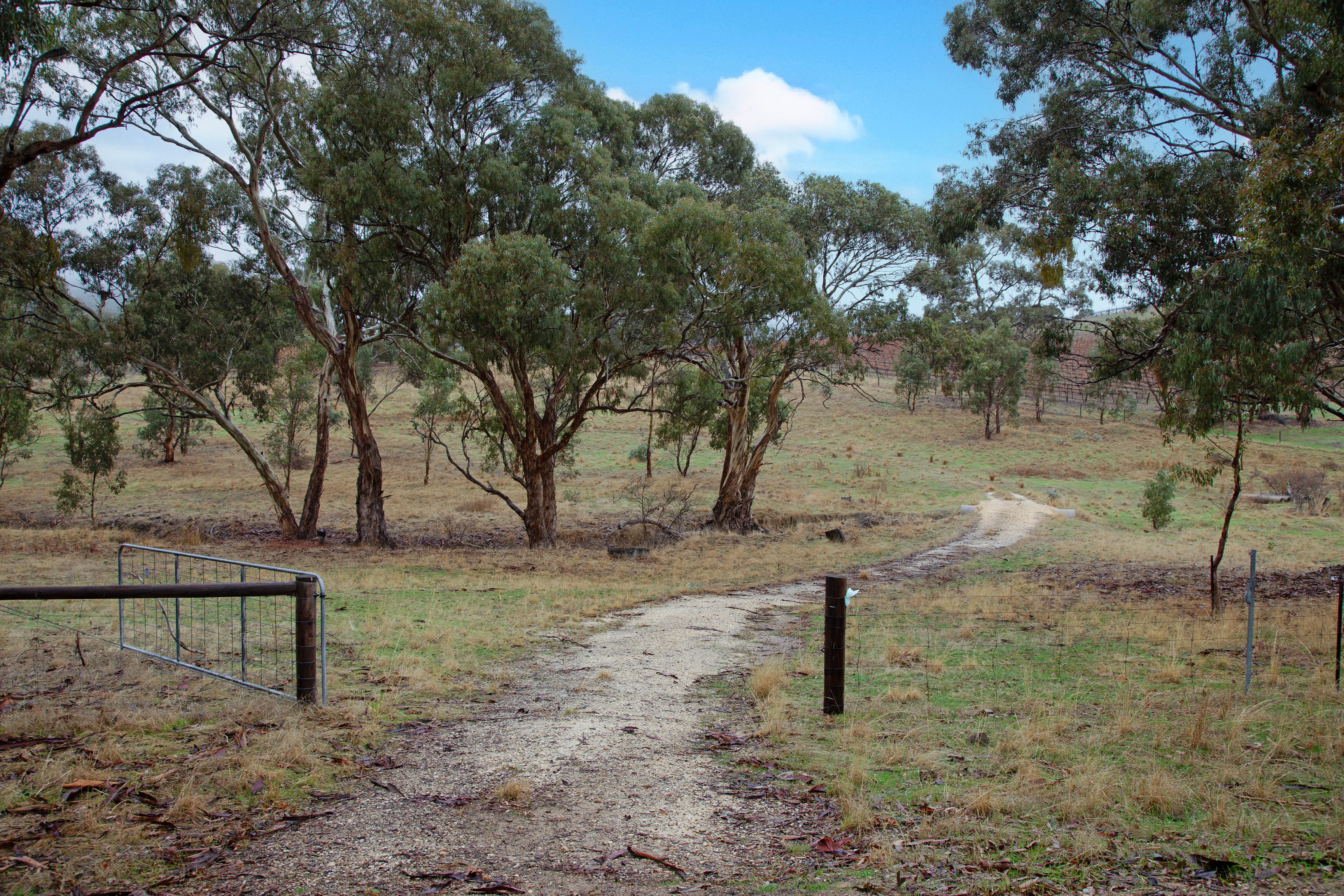 Ray White Clare Valley