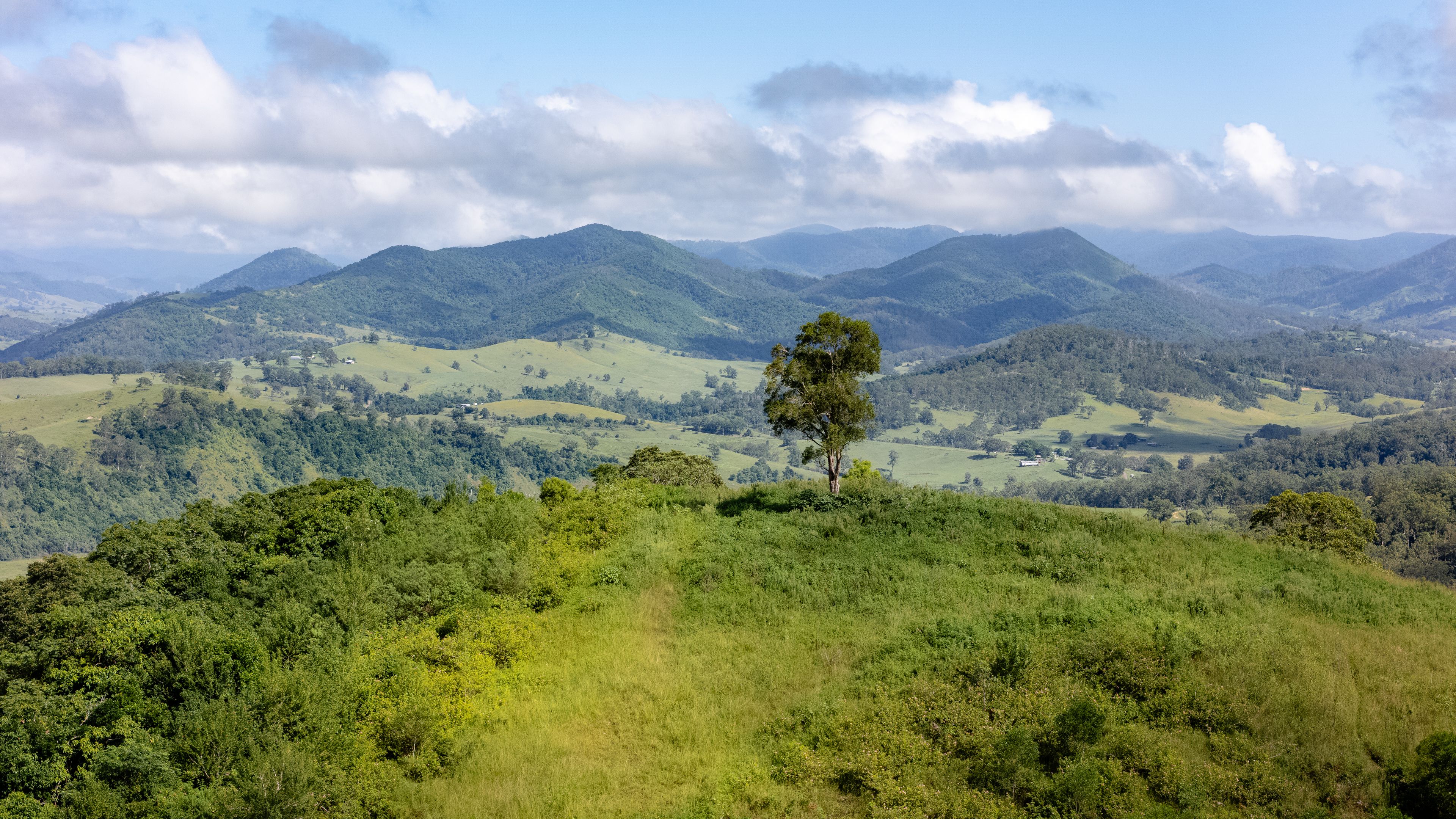 382 Norwood Lane, Mount George, NSW 2424 - Rural Mixed Farming Property ...